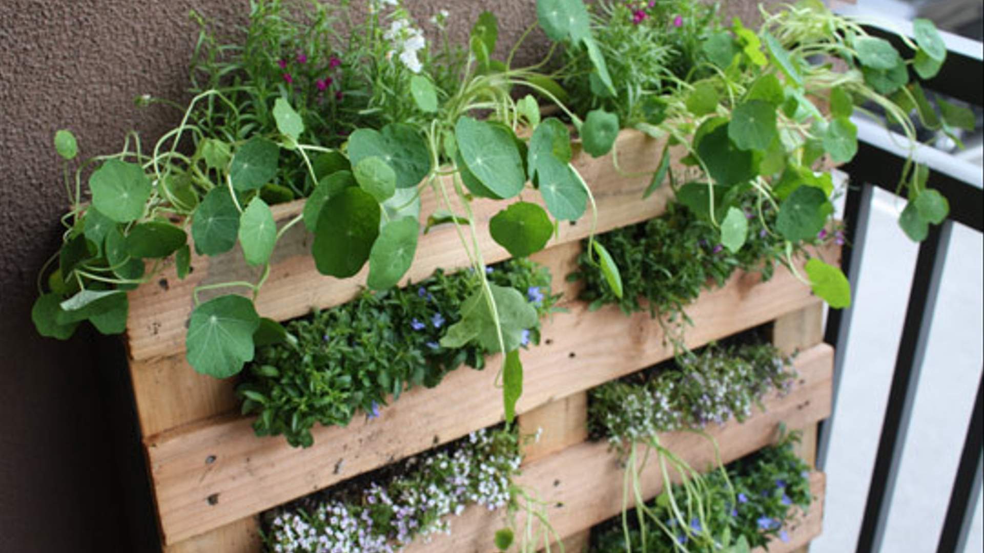 Create an Urban Oasis with a Pallet Garden - Concrete Playground