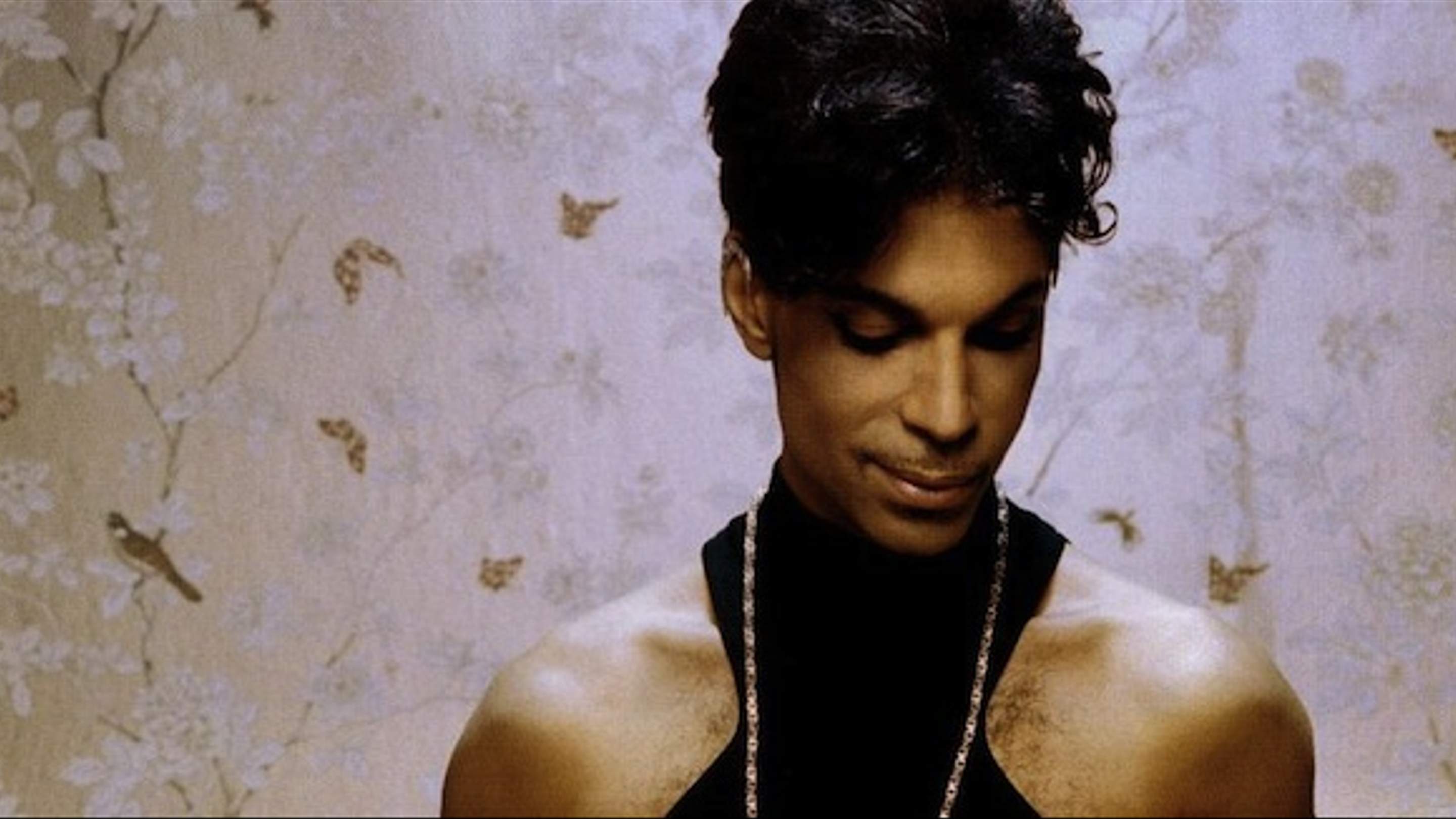 Prince - Concrete Playground