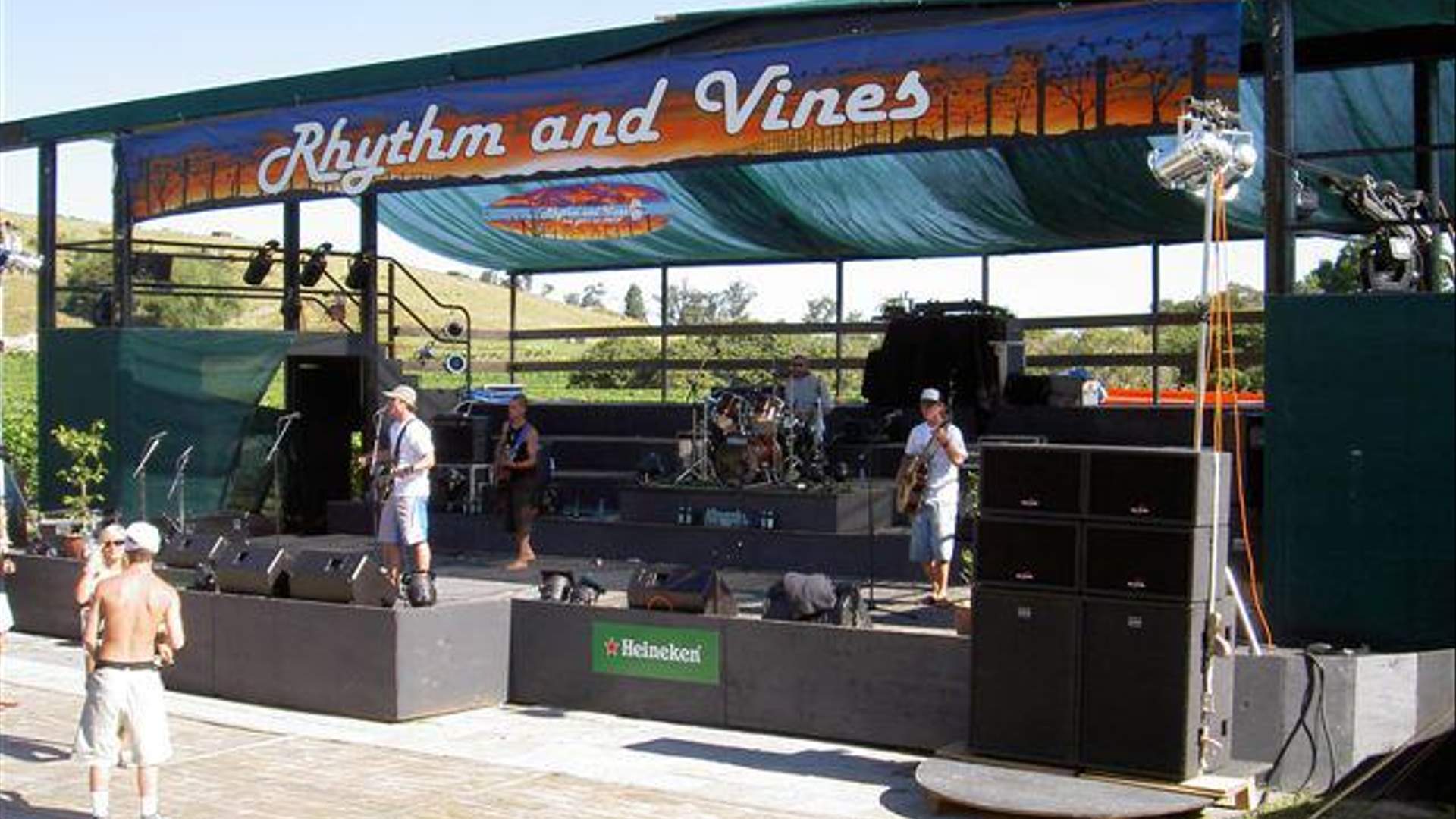 10 Years of Rhythm and Vines – Reflection - Concrete Playground