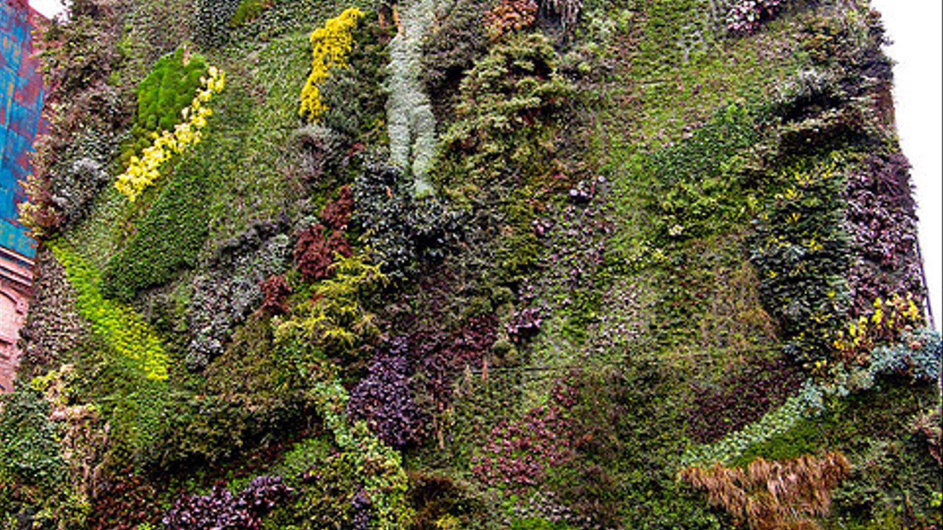 The World’s Most Magnificent Vertical Gardens - Concrete Playground