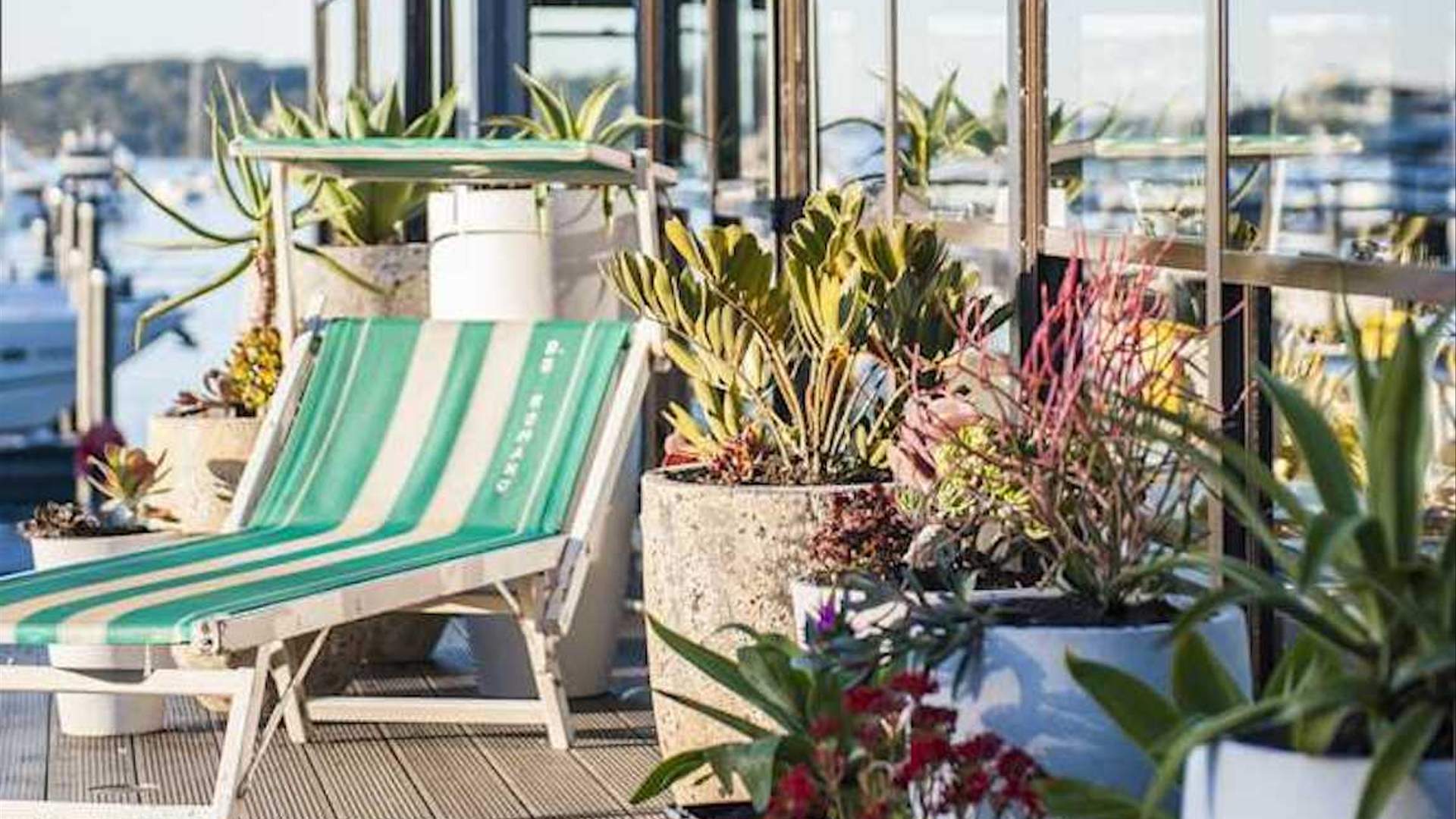 Cruise Through Sunday at the Sailors Club - Concrete Playground