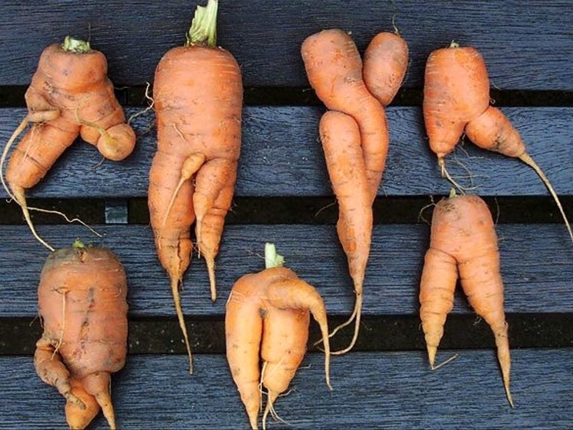 Weird Vegetable Shapes
