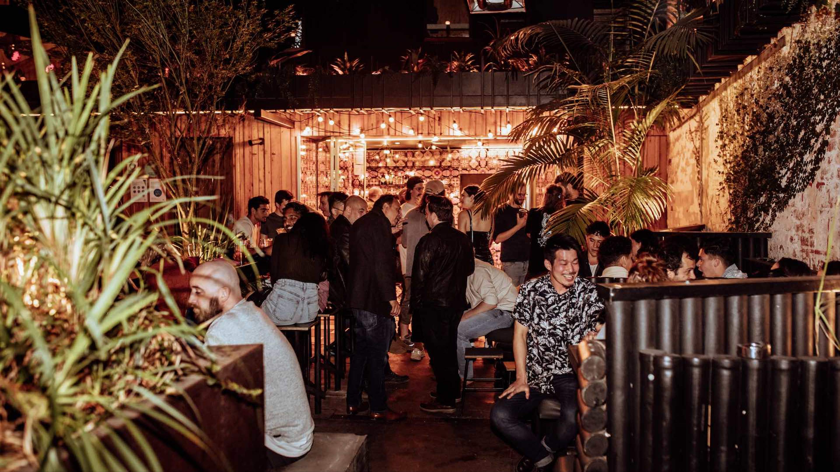 Howler, Brunswick Review