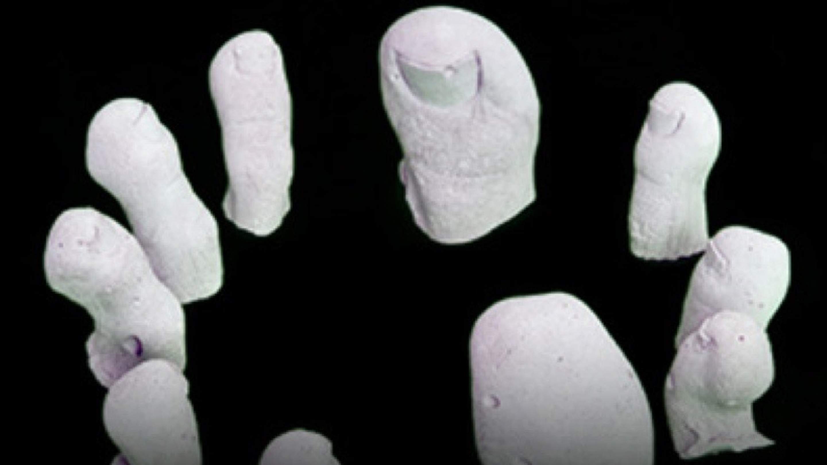 ARTBAR curated by Tully Arnot - Concrete Playground