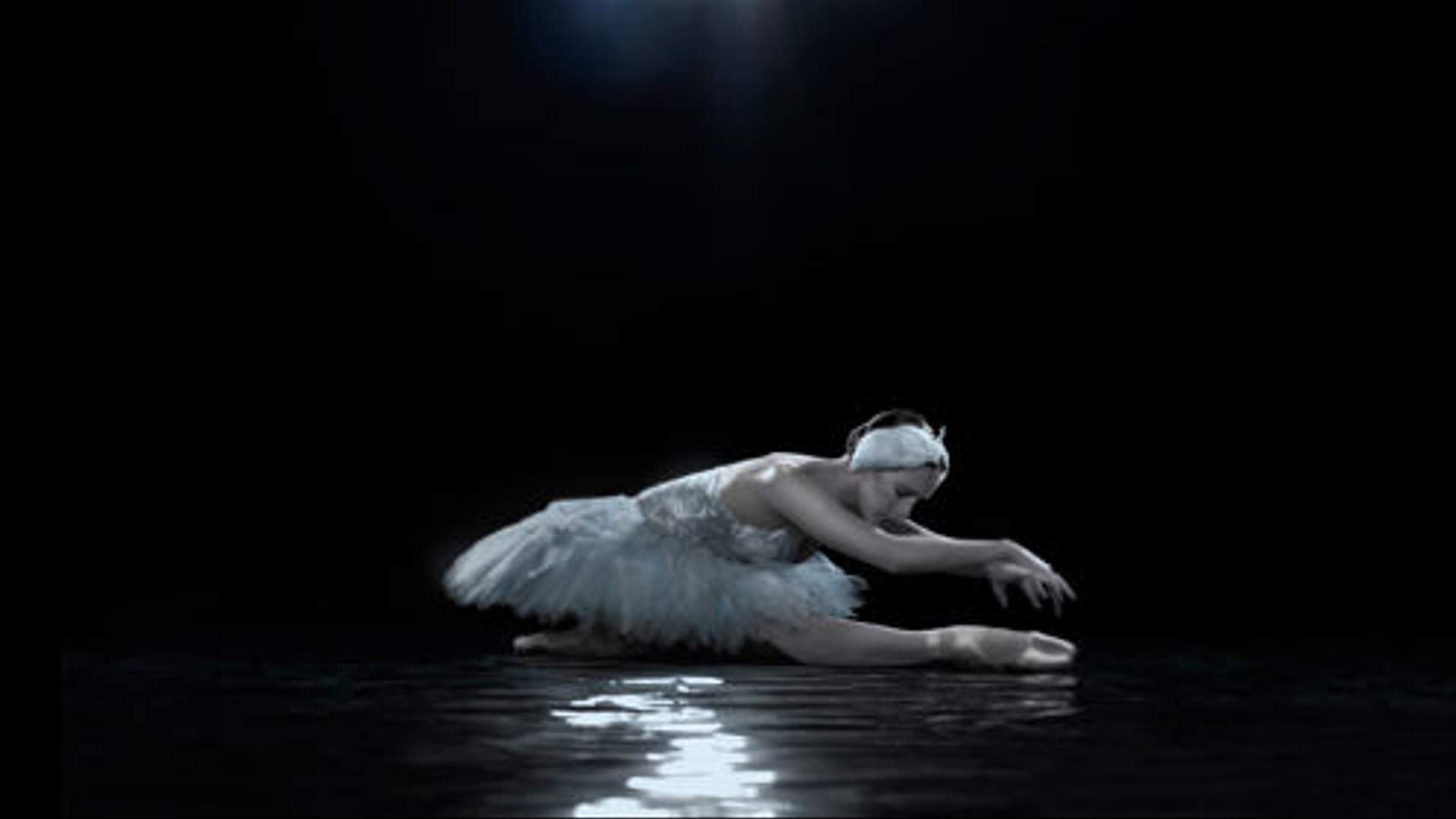 Swan Lake, Auckland