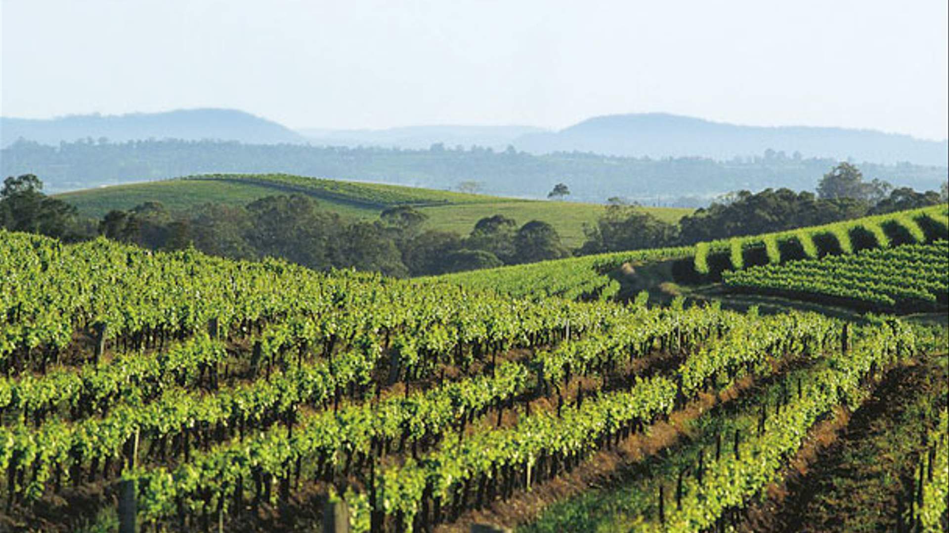 Your Guide to a Spring Weekend in the Hunter Valley - Concrete Playground