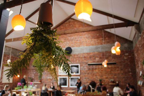 Little Bird Unbakery Summer St, Ponsonby Review