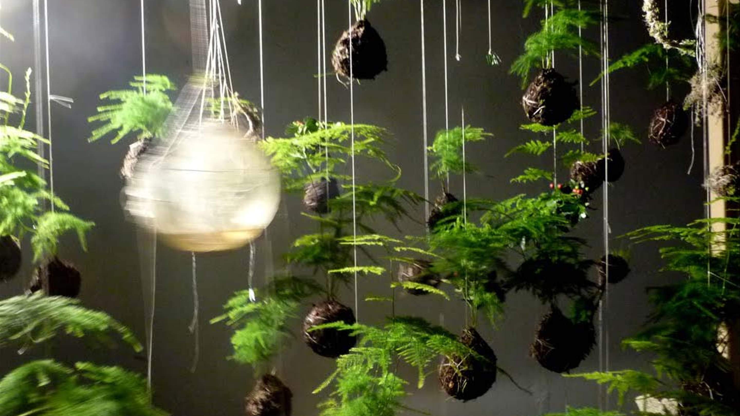 String Gardens Workshop with Georgina Reid - Concrete Playground