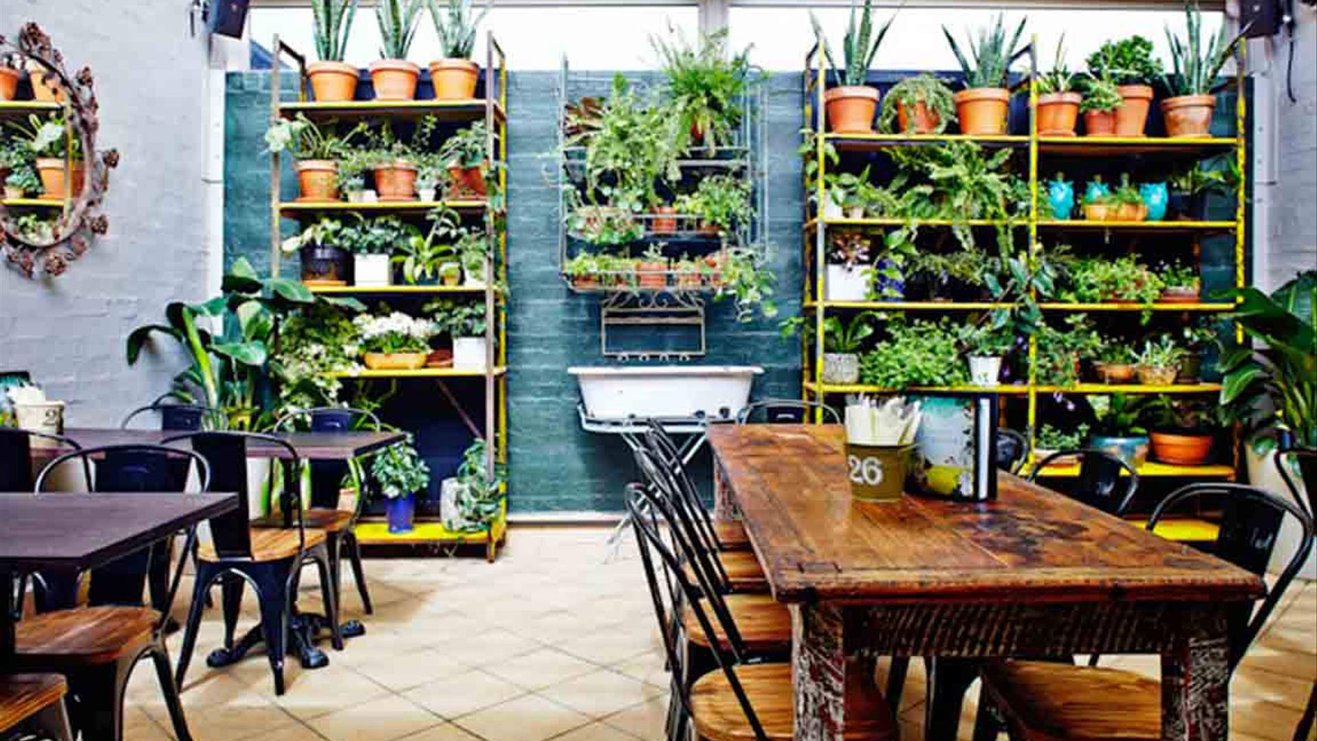 The Royal Botanical, Leichhardt Review