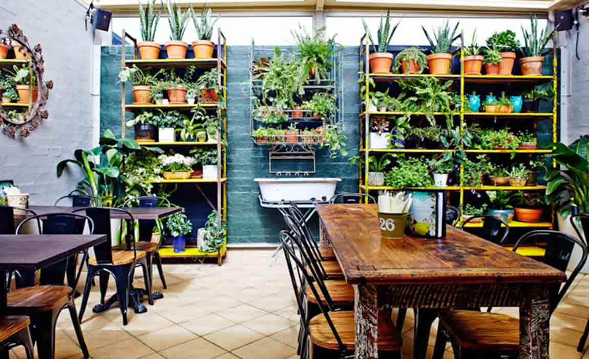 The Royal Botanical, Leichhardt Review