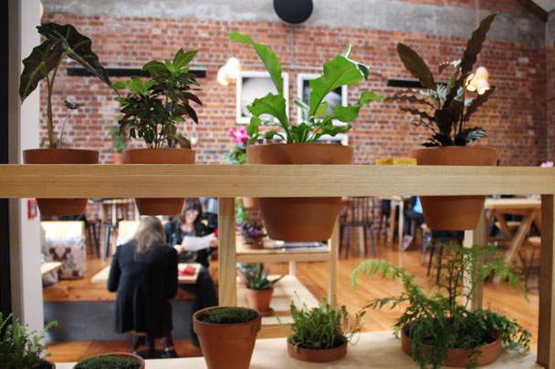 The Ten Best Organic Cafes in Auckland - Concrete Playground