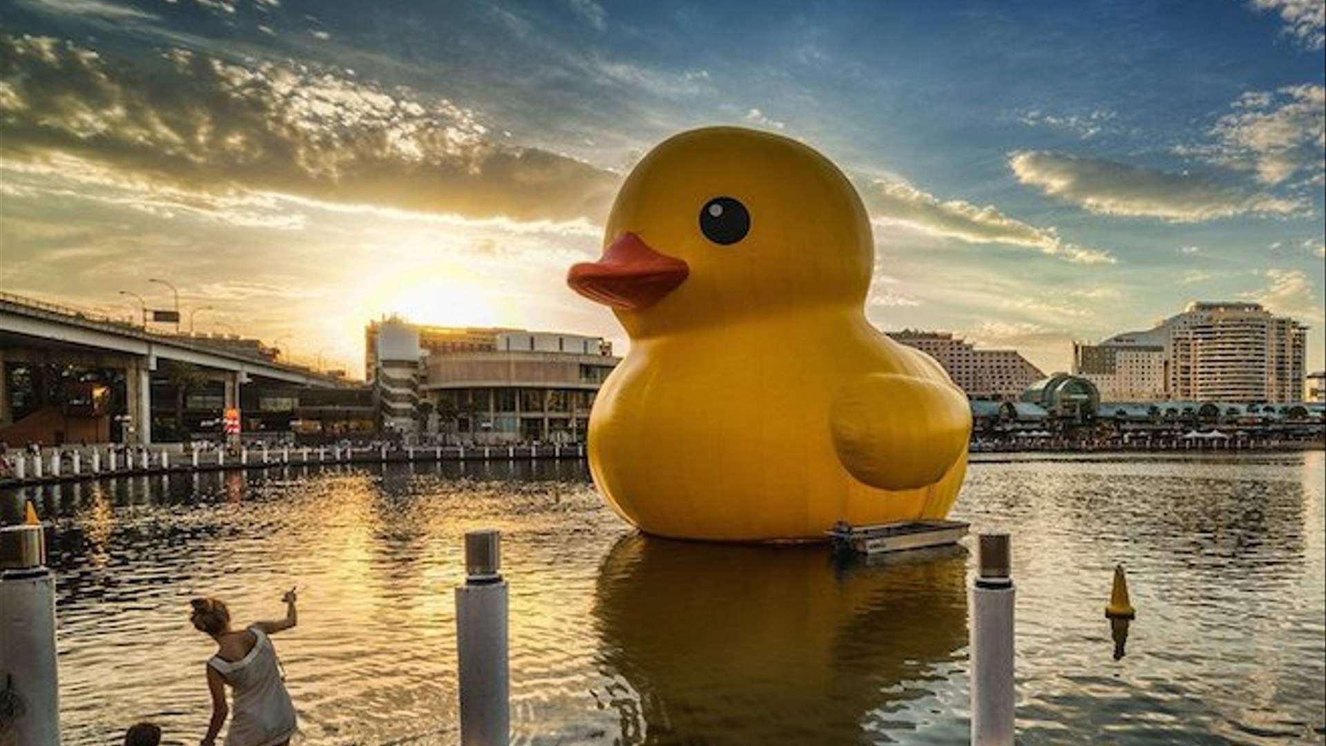 Legendary Giant Rubber Duck Is Missing After Flood in China - Concrete ...