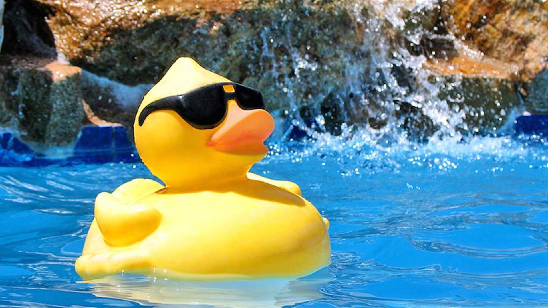 Spring Hill Alive Festival 2014, Brisbane