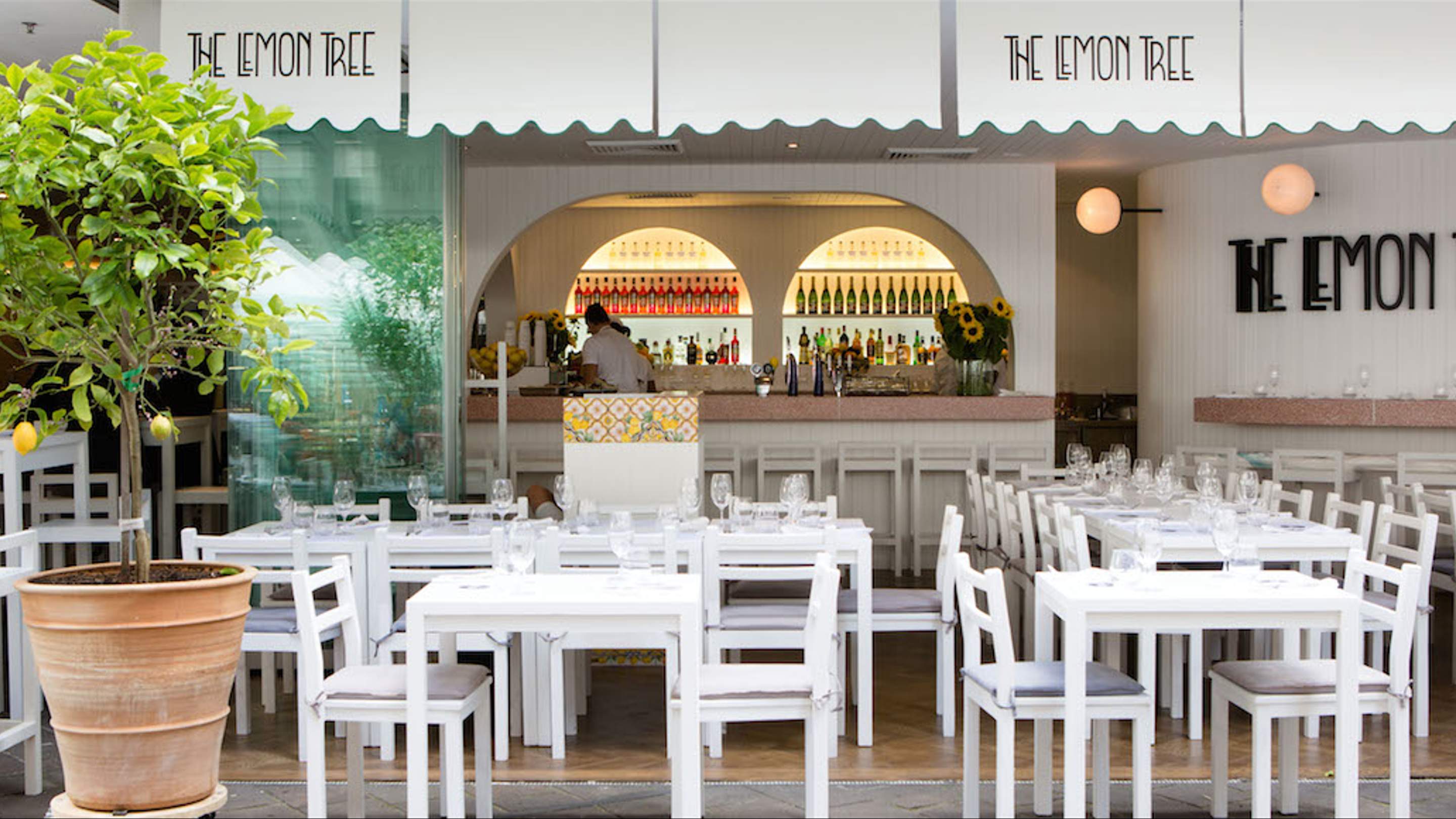 The Lemon Tree - CLOSED, Sydney Review