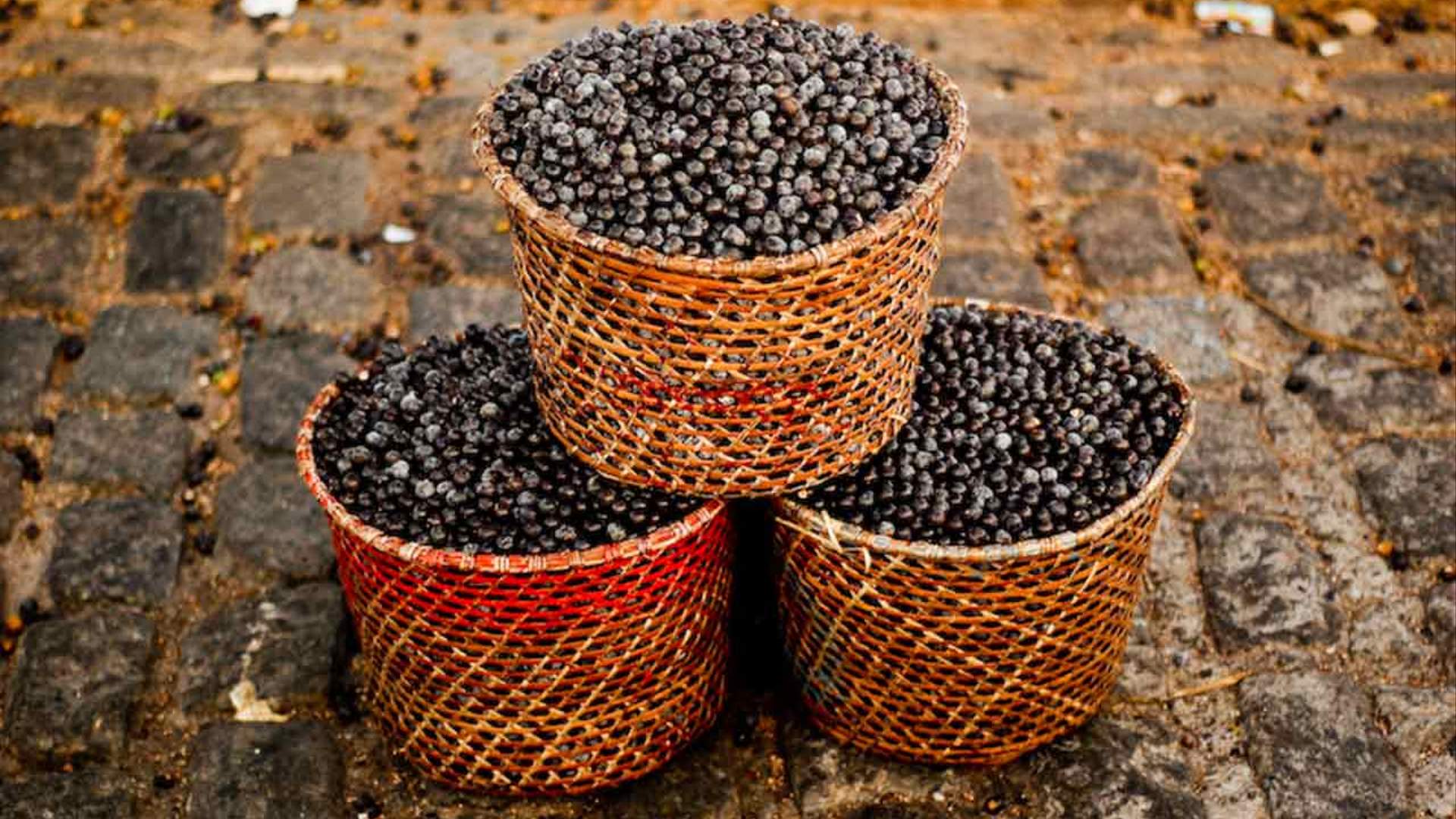 The Bluffer’s Guide to Acai - Concrete Playground