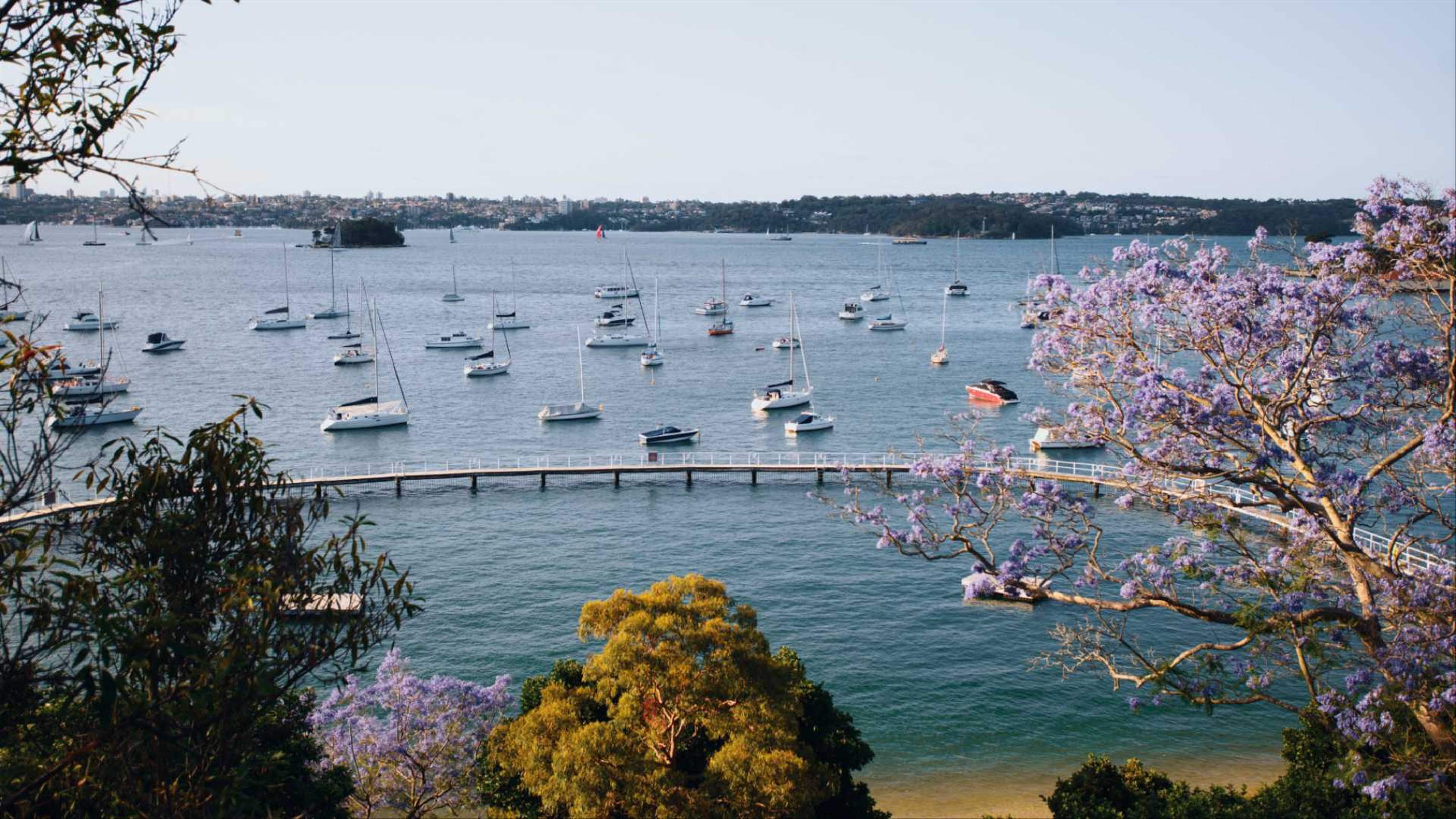 The Twelve Best Outdoor Swimming Pools in Sydney