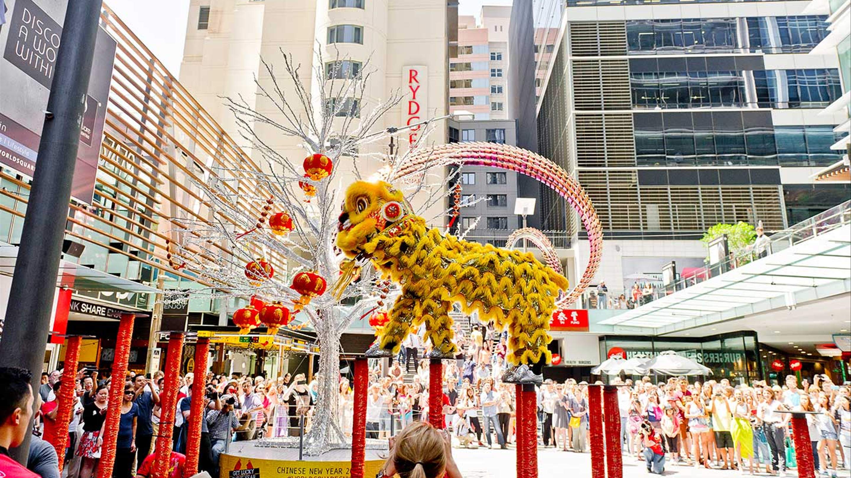 The Best Things to See, Do and Taste at Sydney Chinese New Year 2016 ...