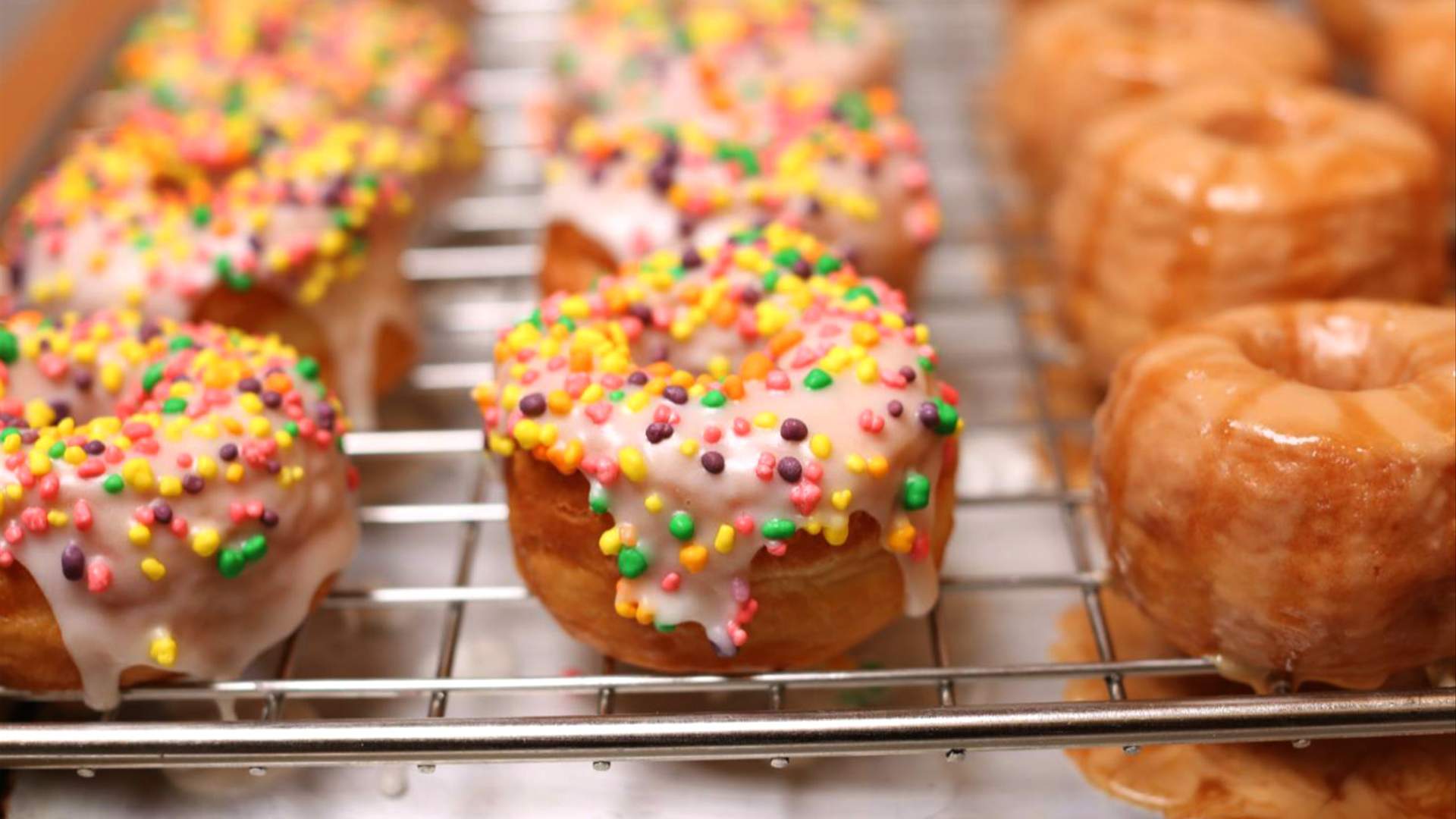 Doughnut Time Finally Opens in Fortitude Valley - Concrete Playground