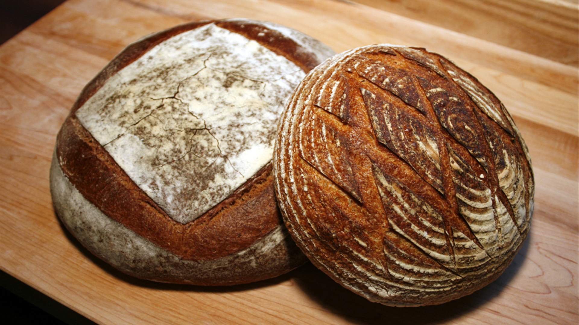 Liquid Bread: A Sourdough Alementary, Brisbane