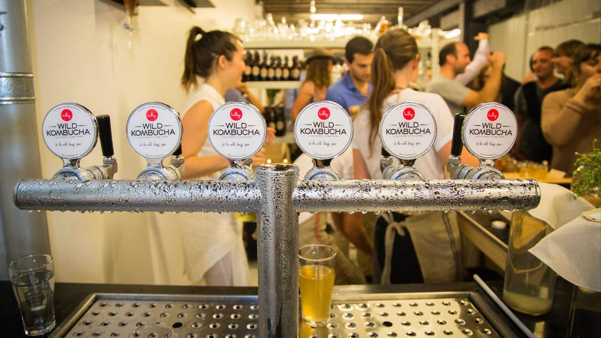 Sydney's First Ever Kombucha Bar Set to Open - Concrete Playground