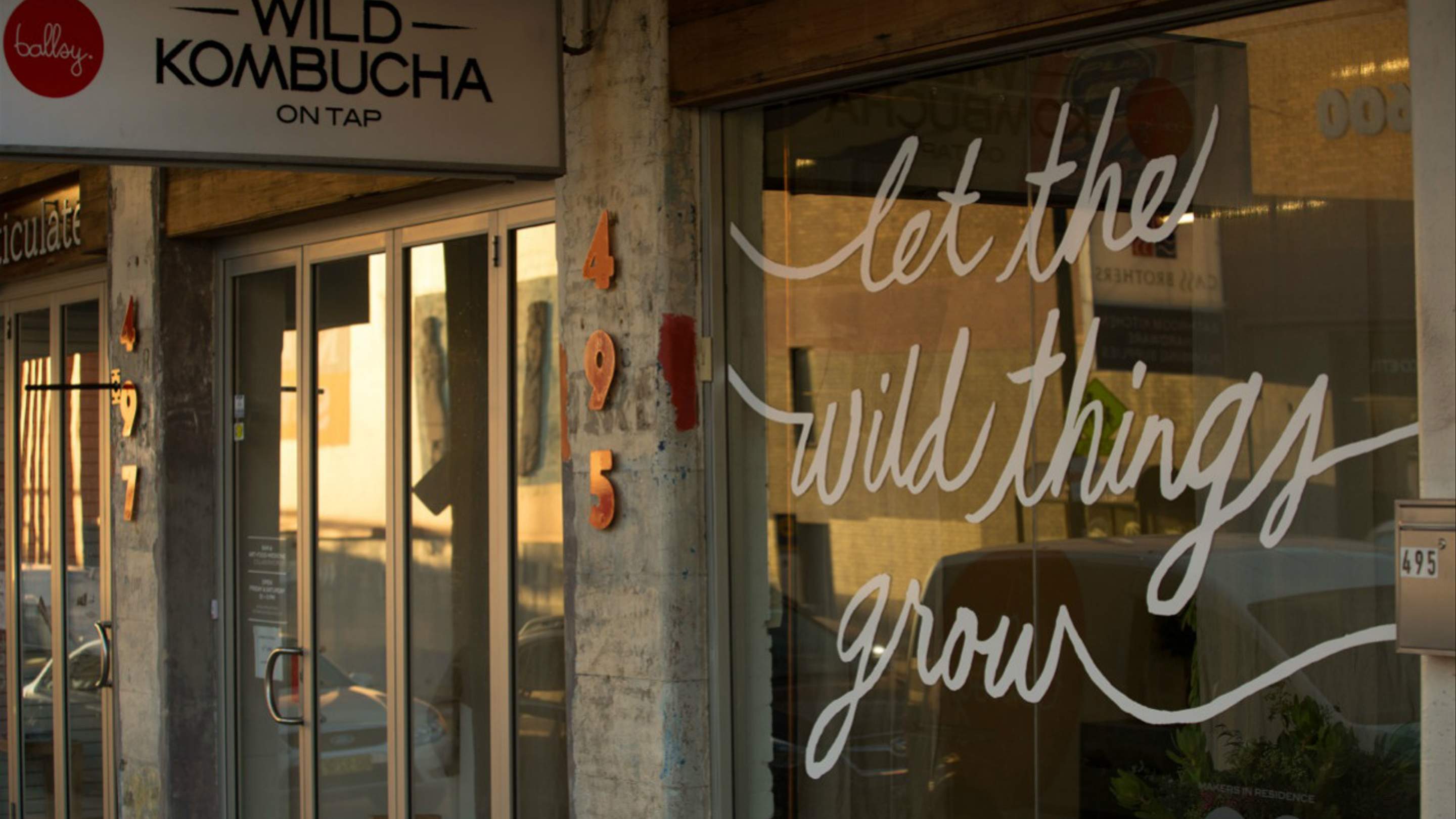 Sydney's First Ever Kombucha Bar Set to Open - Concrete Playground