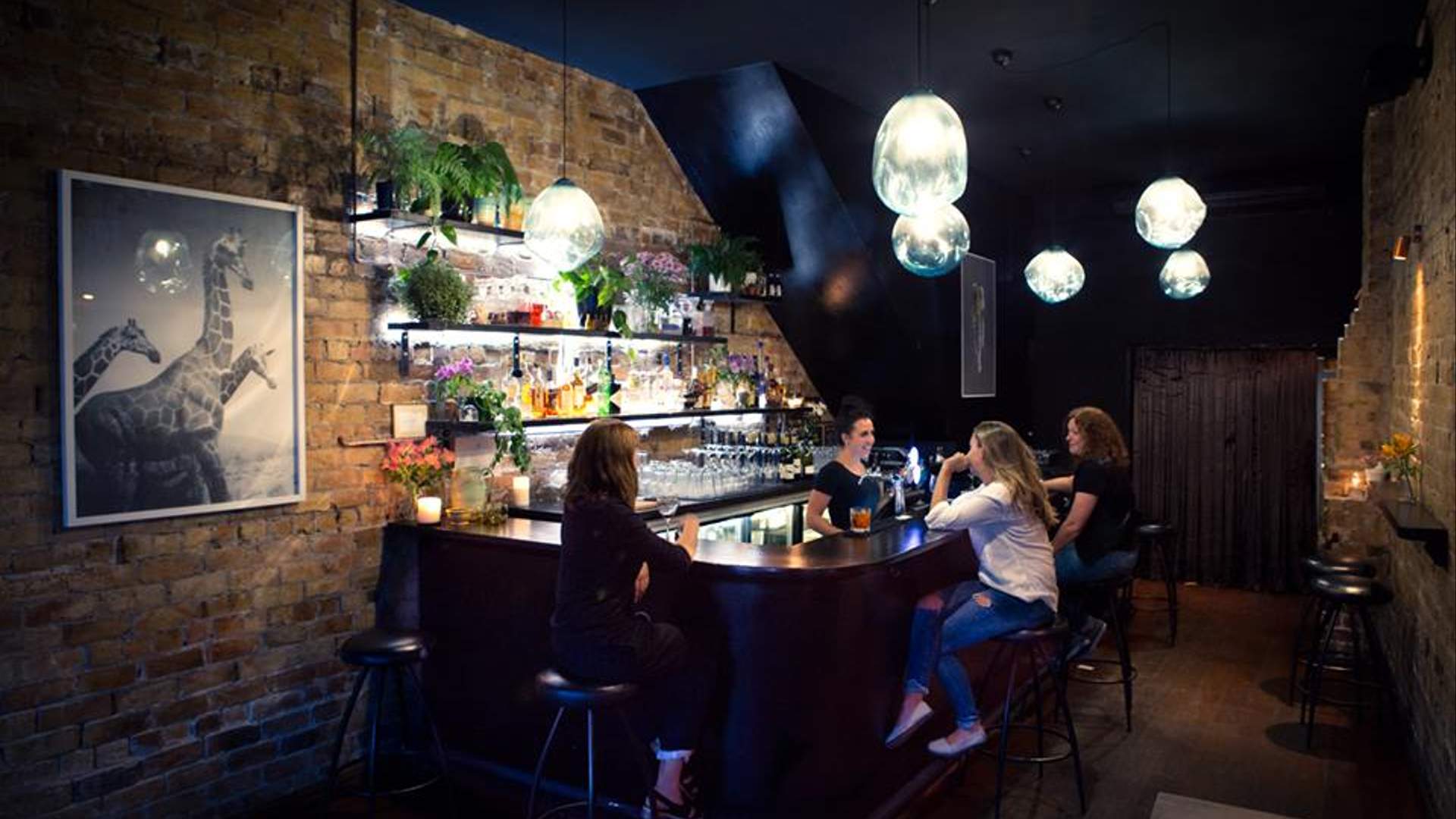 Harry, Ponsonby Review