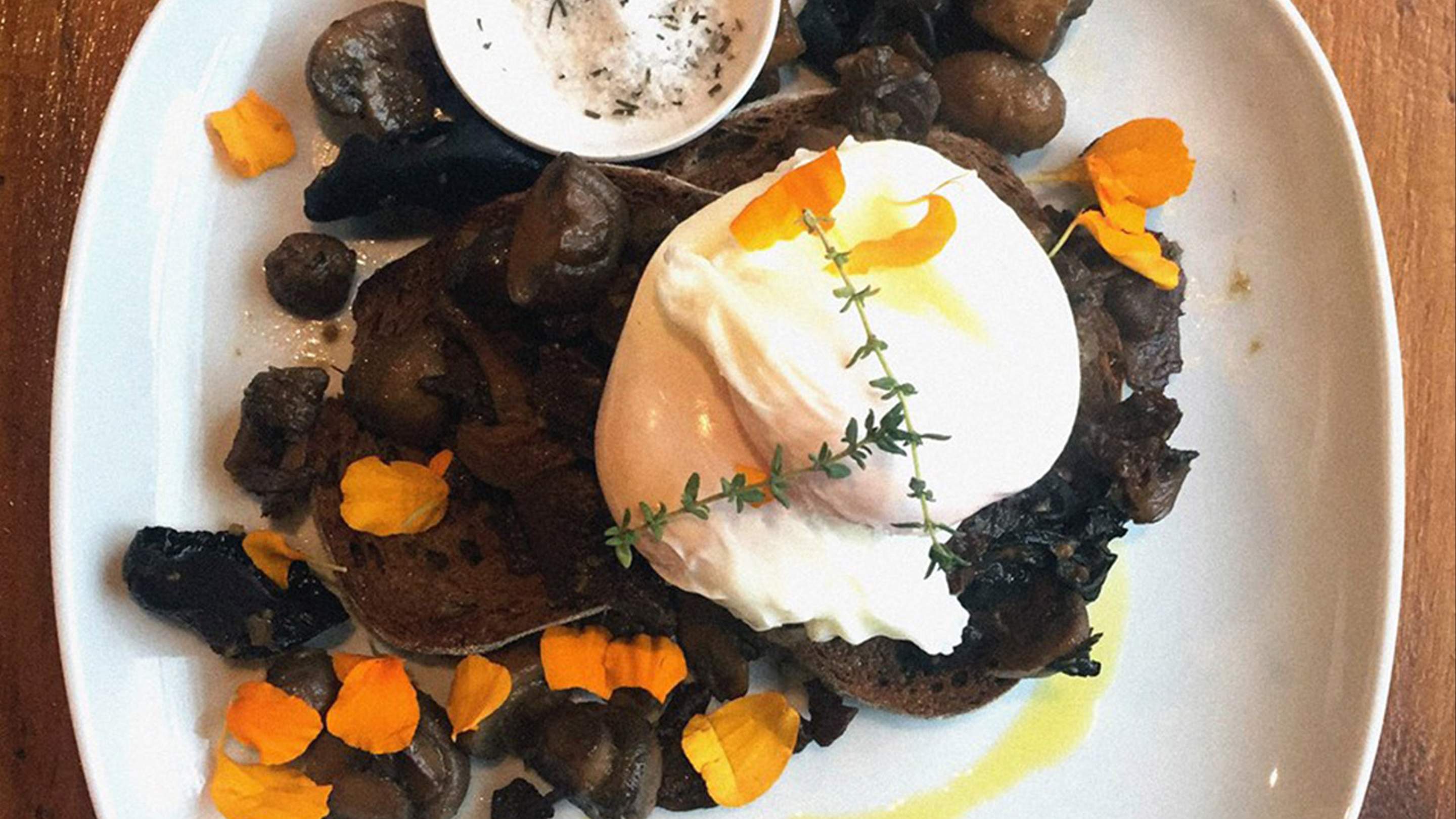 Little Clive, Annerley Review