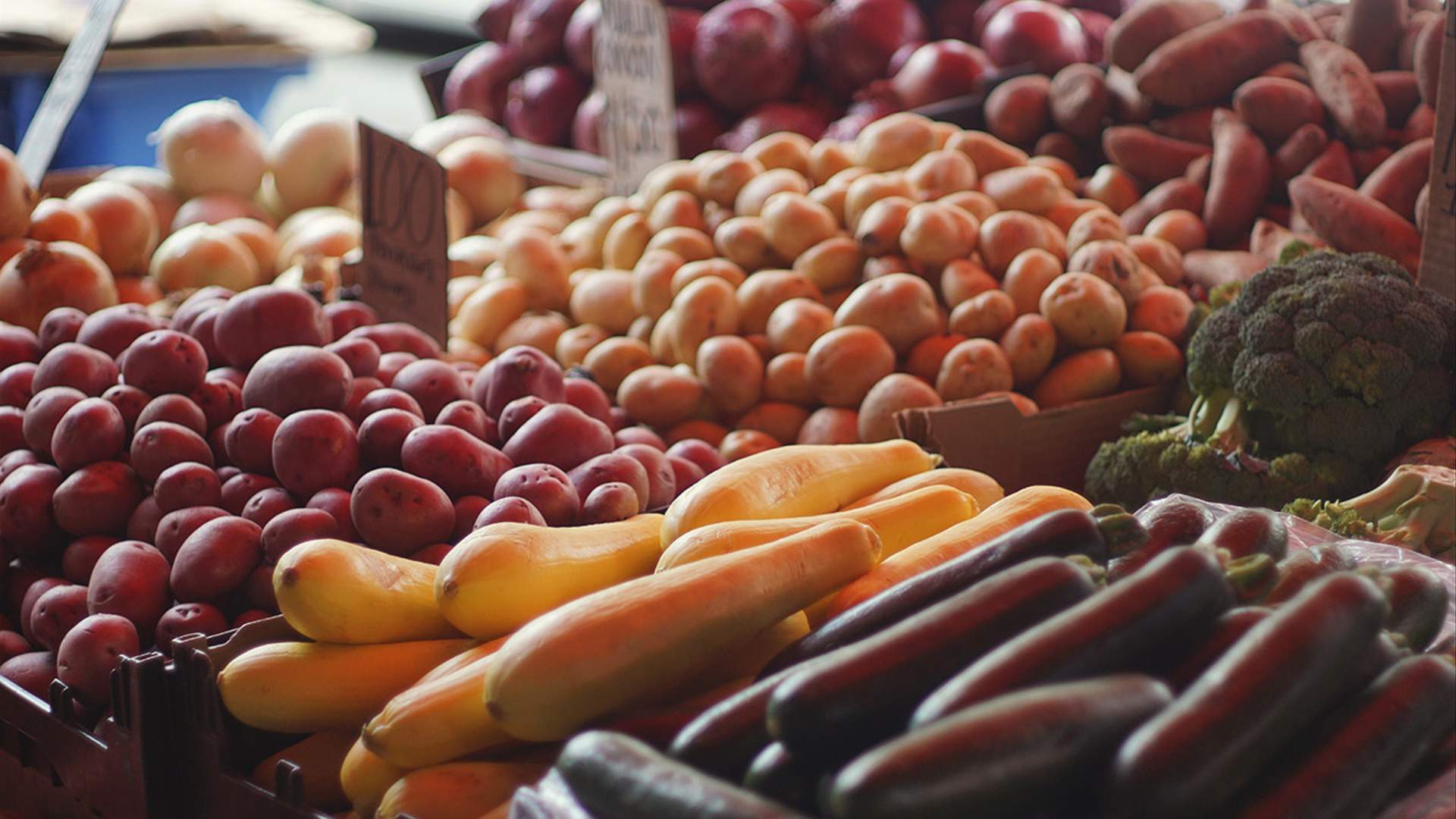 Think.Eat.Save, Melbourne