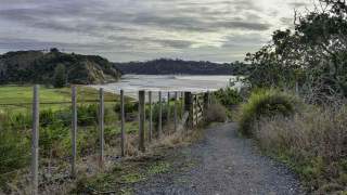 The Ten Best Runs Across Auckland - Concrete Playground