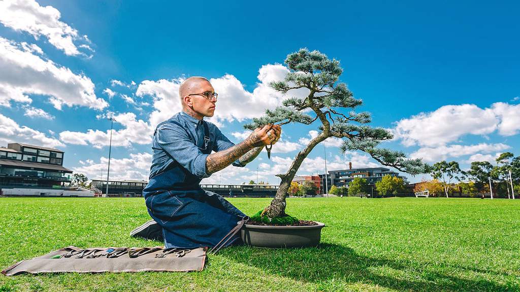 Chojo Feature Trees: Impressions of Japan, Melbourne