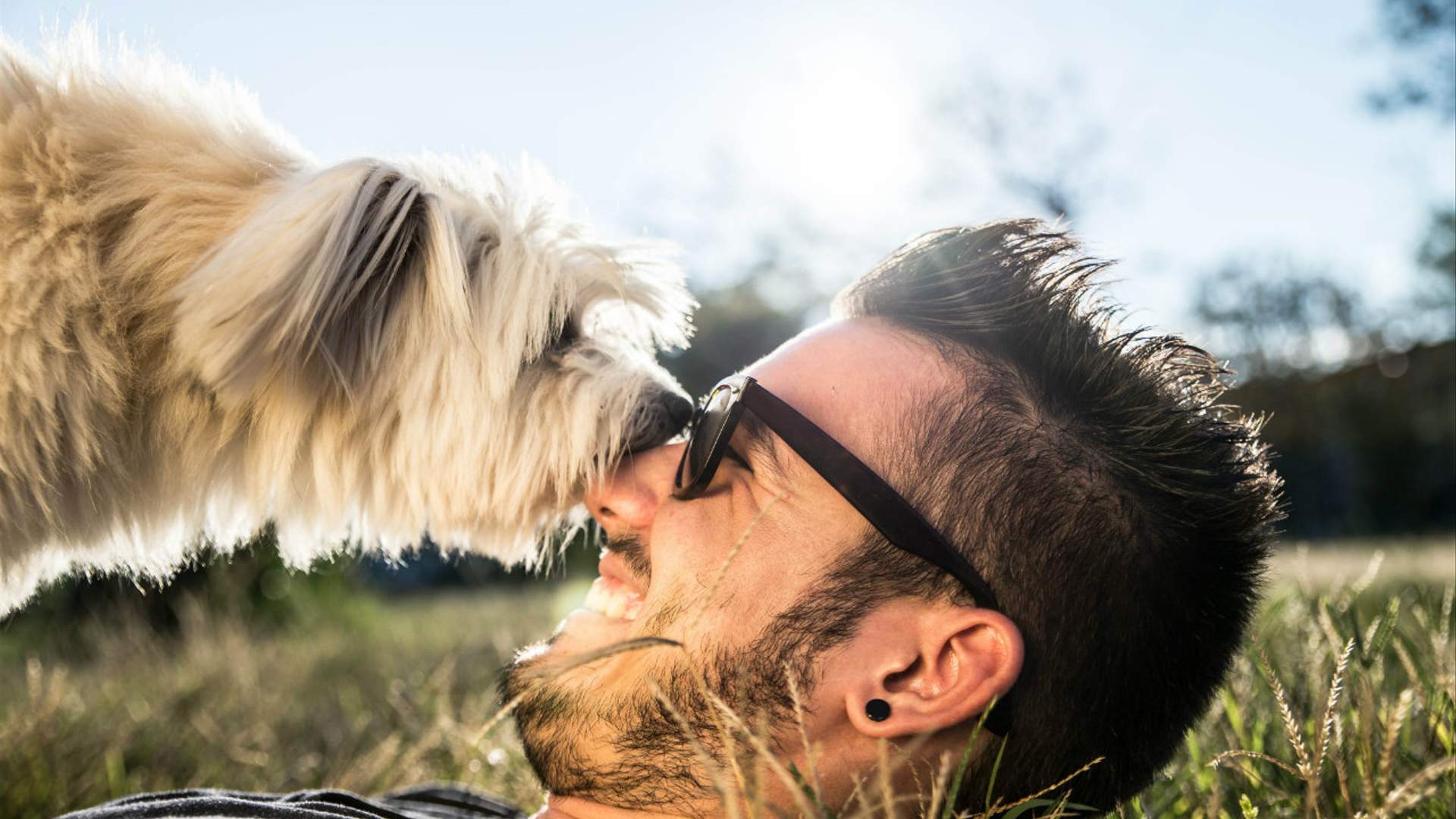 Super Furry Festival, Sydney