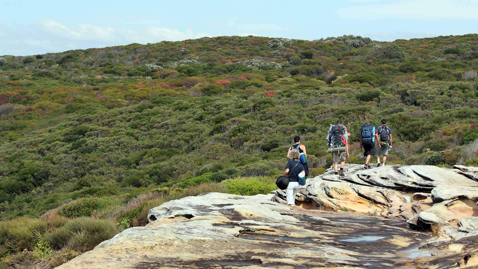 The Five Best Overnight Hikes Near Sydney - Concrete Playground