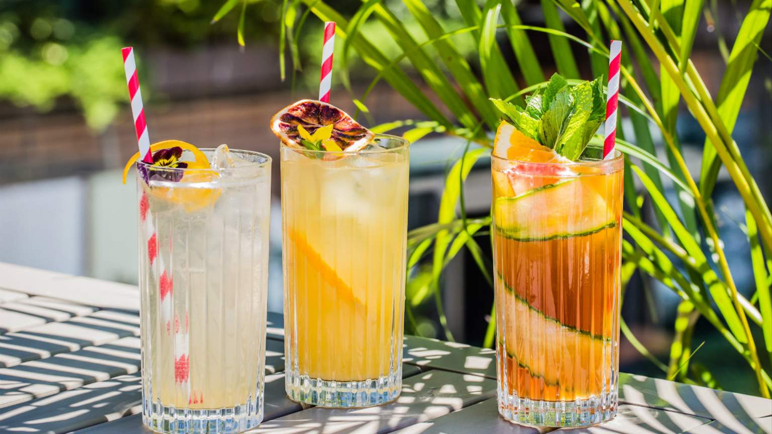 The Old Clare Rooftop Pool and Bar Is Now Open to the Public - Concrete ...