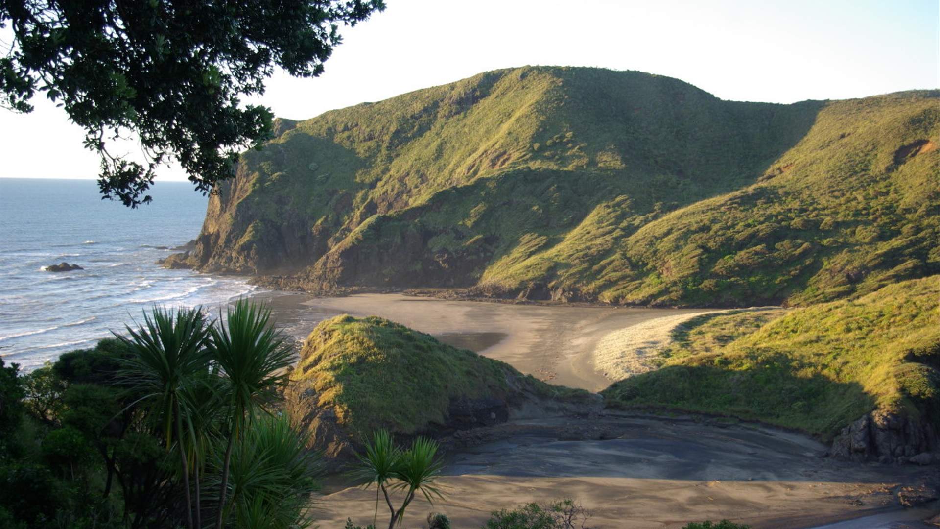The Five Best Secluded Beaches in Auckland - Concrete Playground