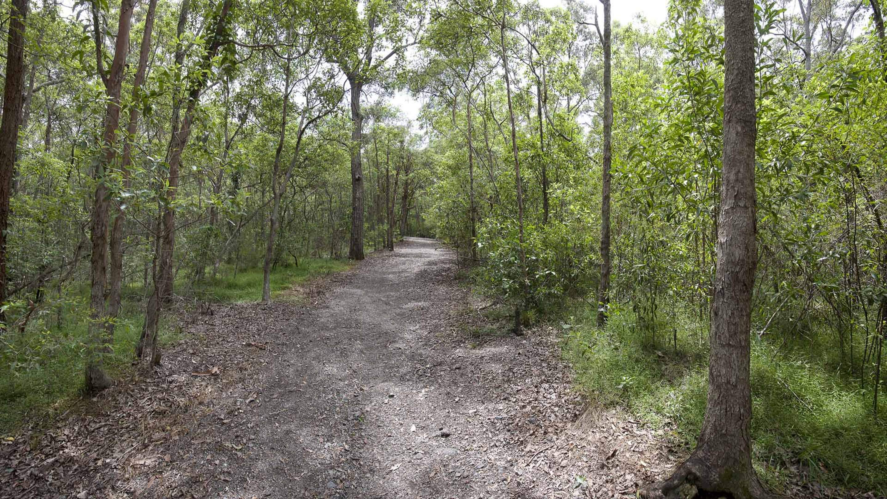 The Ten Best Walks In and Around Brisbane