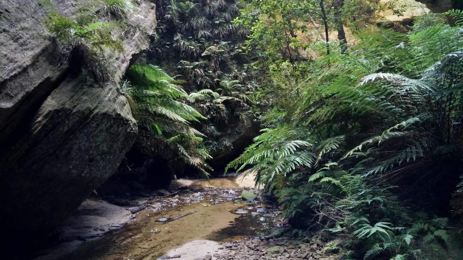 The Ten Best Caves to Visit Near Sydney