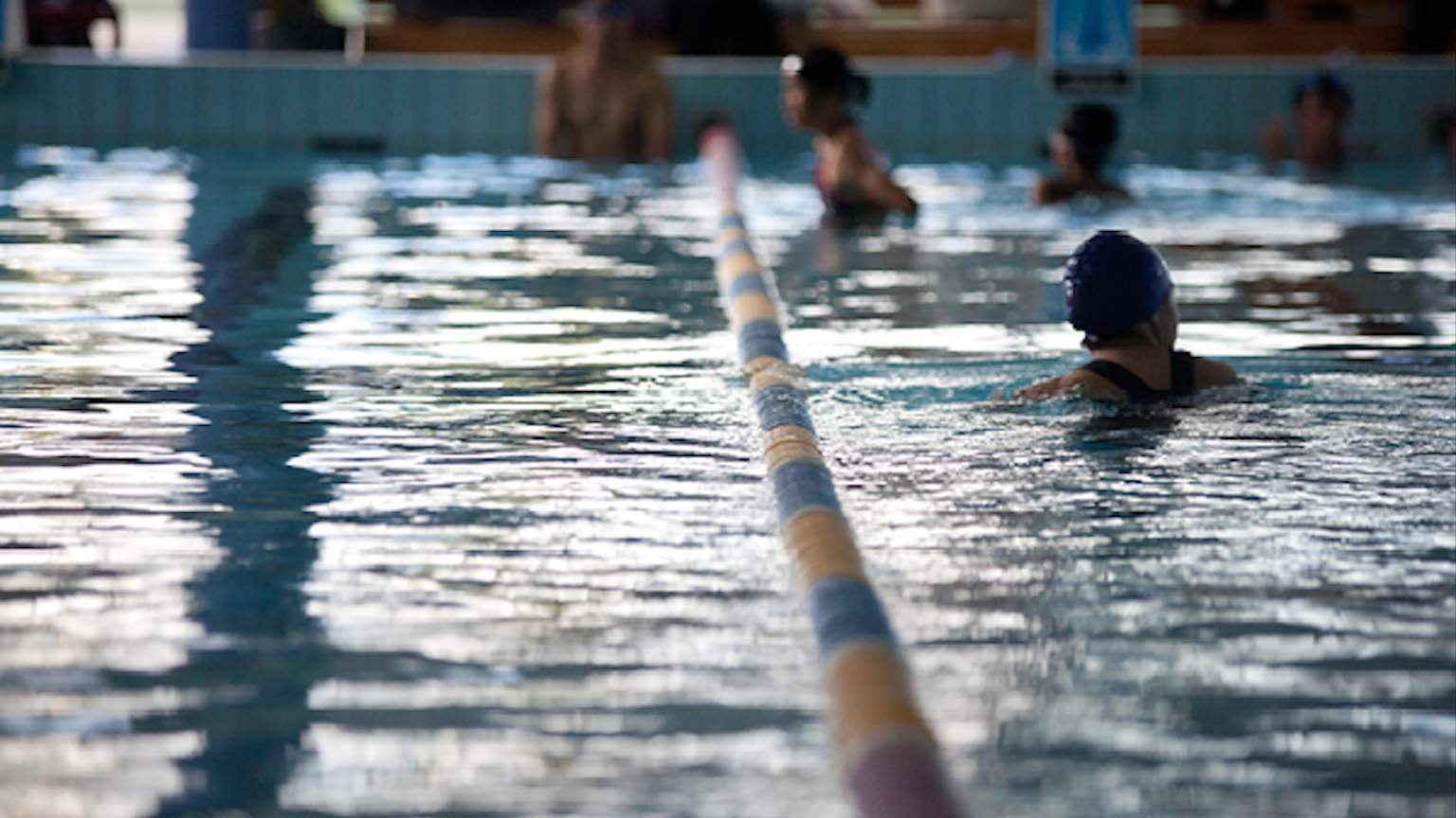 The Six Best Swimming Pools in Auckland for 2024 - Concrete Playground