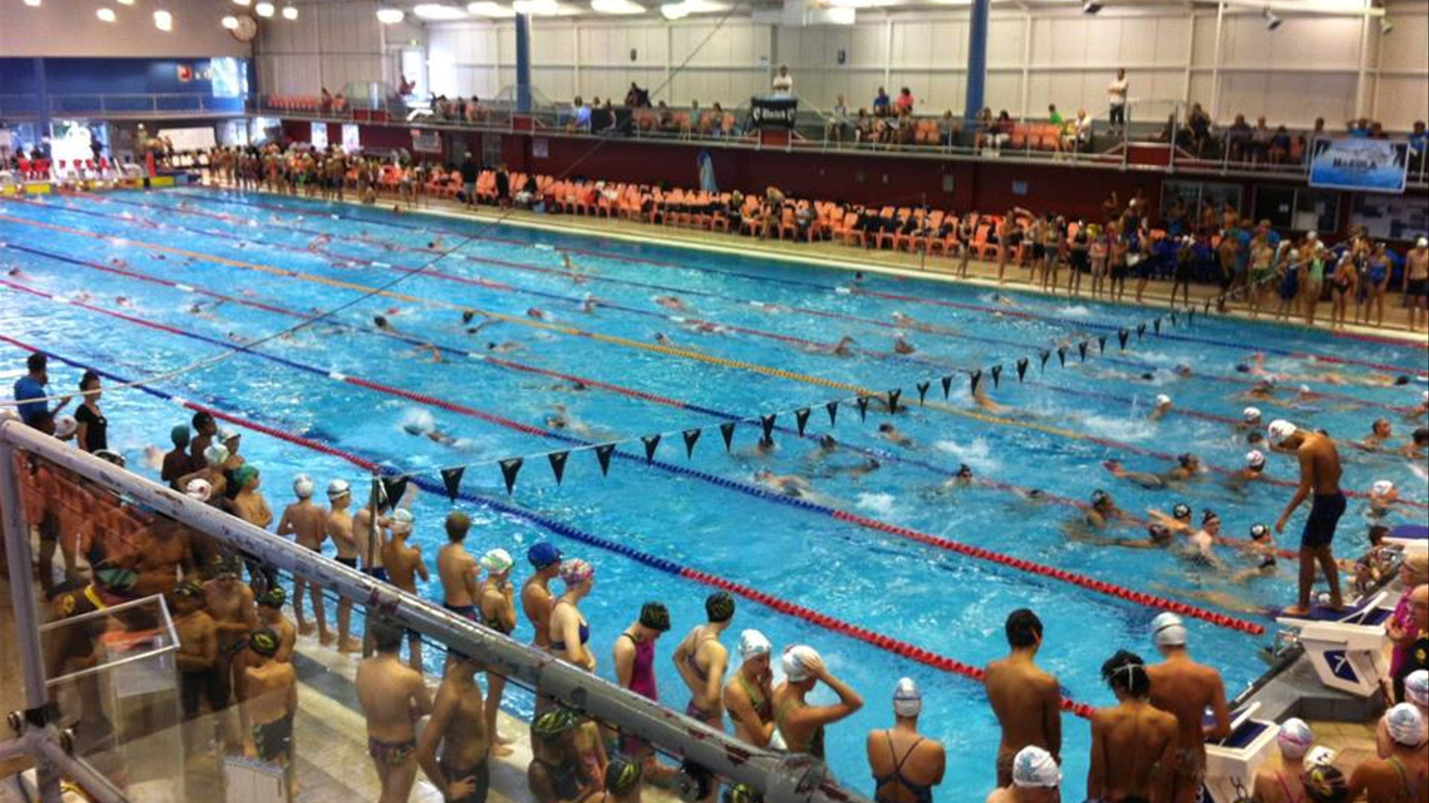 The Six Best Swimming Pools in Auckland for 2024 - Concrete Playground