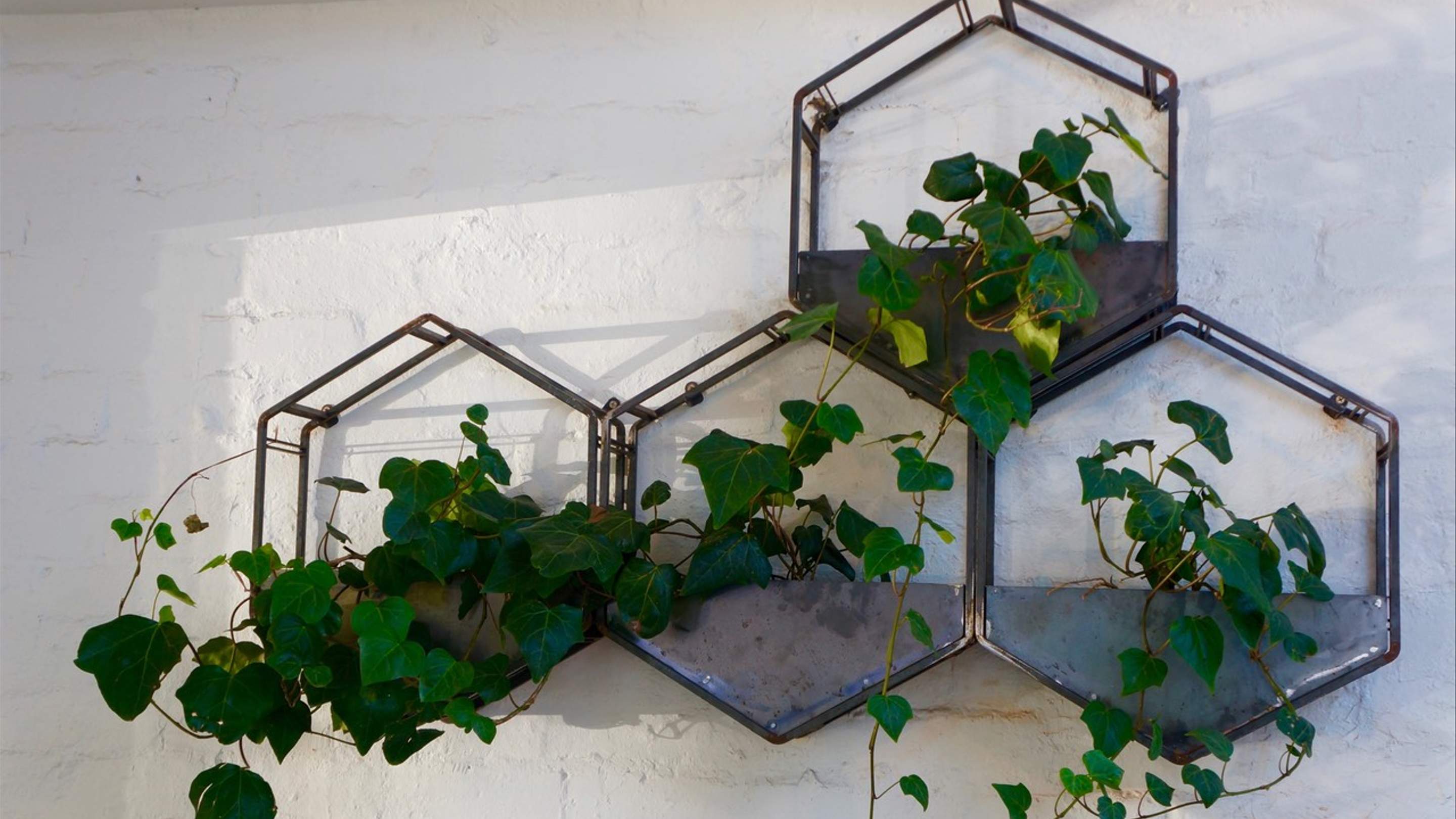 Short Straw, Hawthorn Review