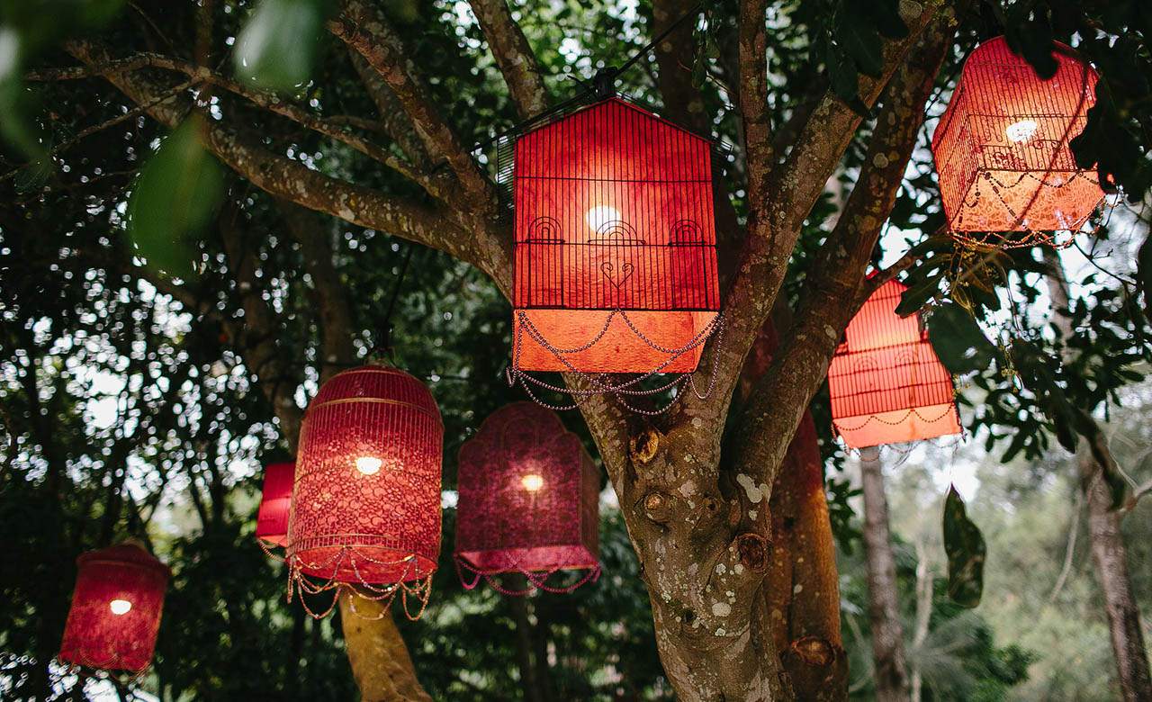 The Planting Festival 2016 - Concrete Playground