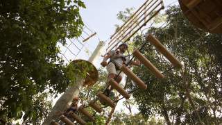 Wild Ropes at Taronga Zoo - Concrete Playground