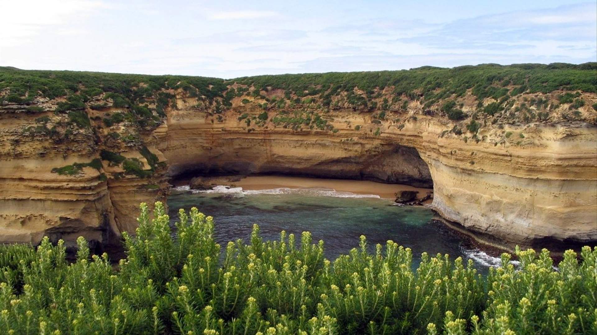 Muttonbird Island - Concrete Playground