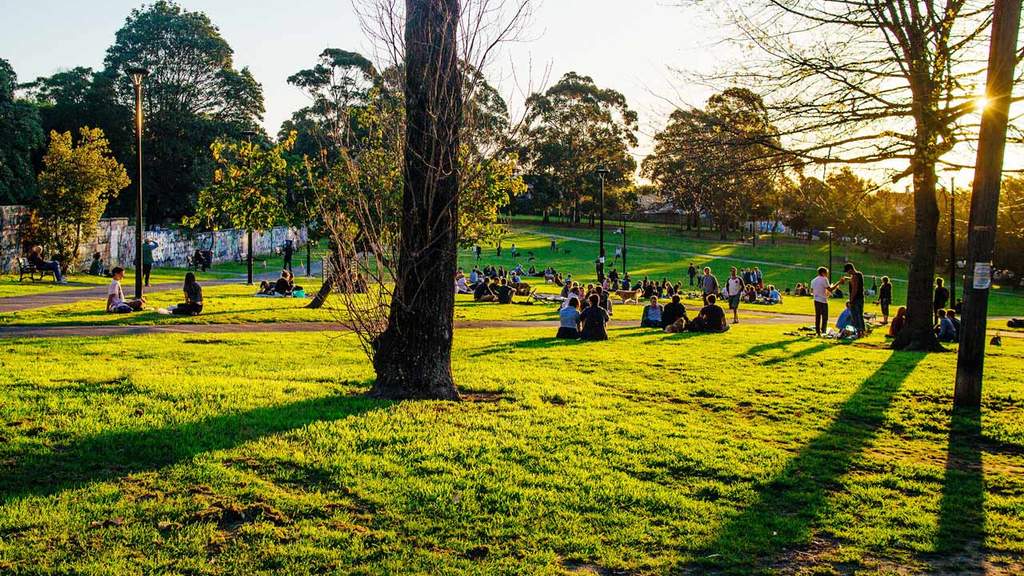 Camperdown Memorial Rest Park - Concrete Playground