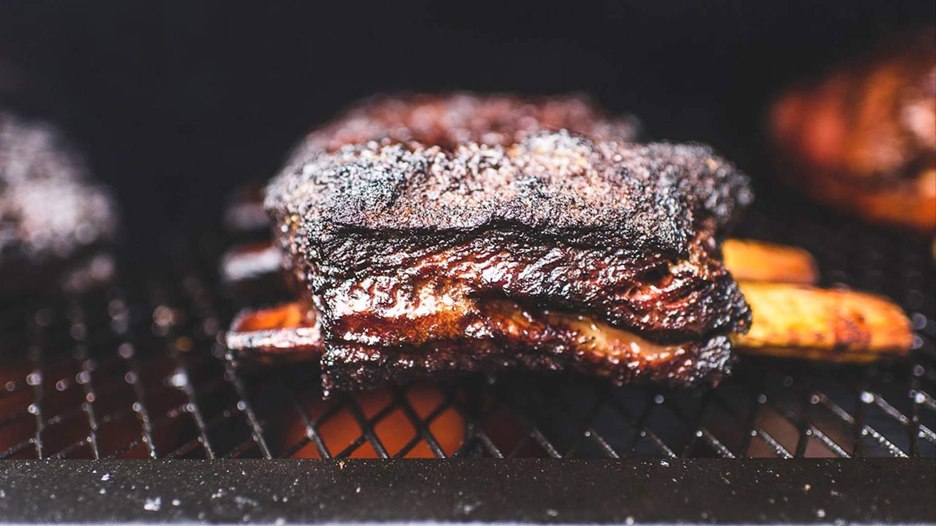 The Shank Brothers Rib-athon, Brisbane