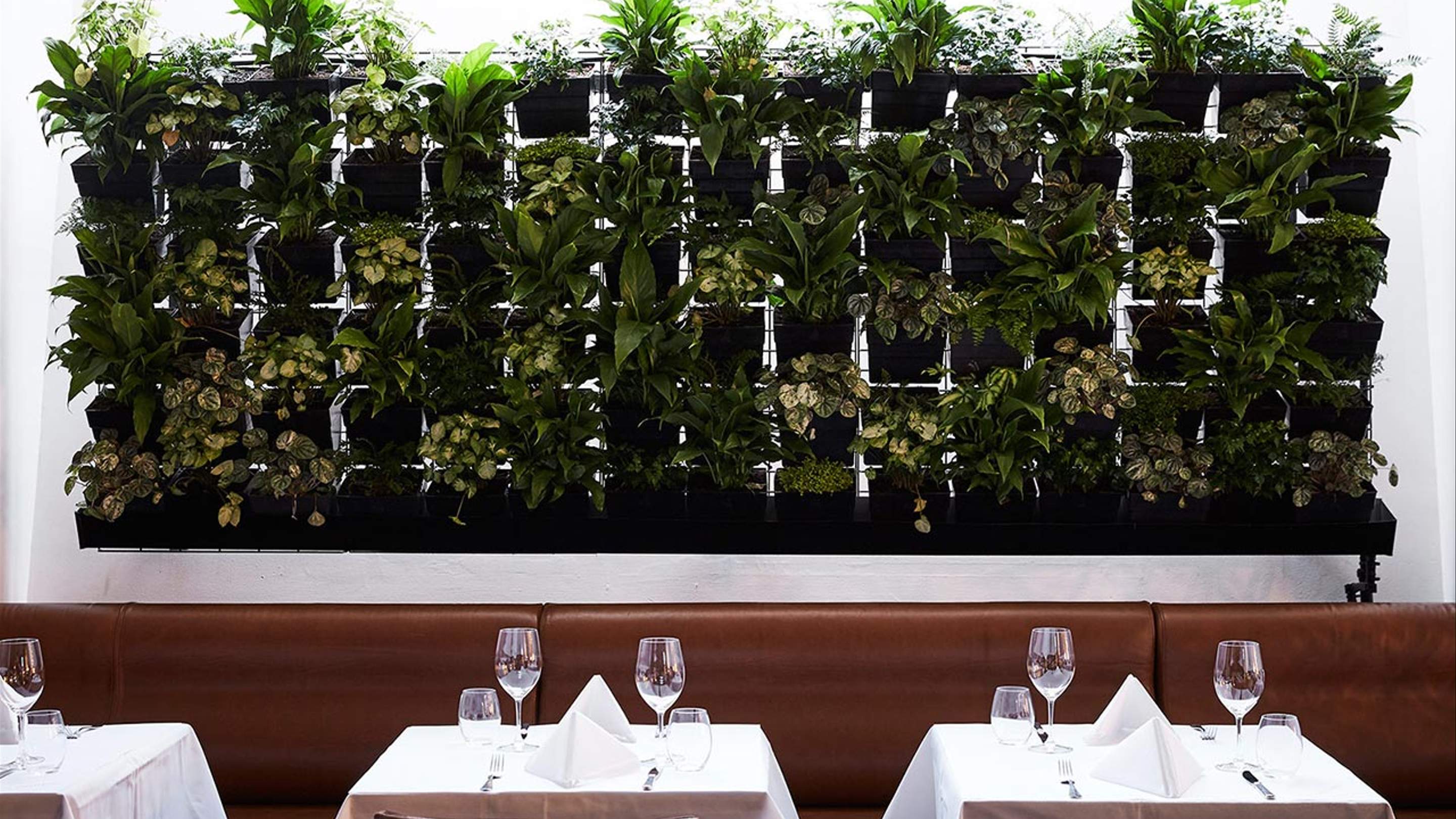 Philippe, Melbourne Review