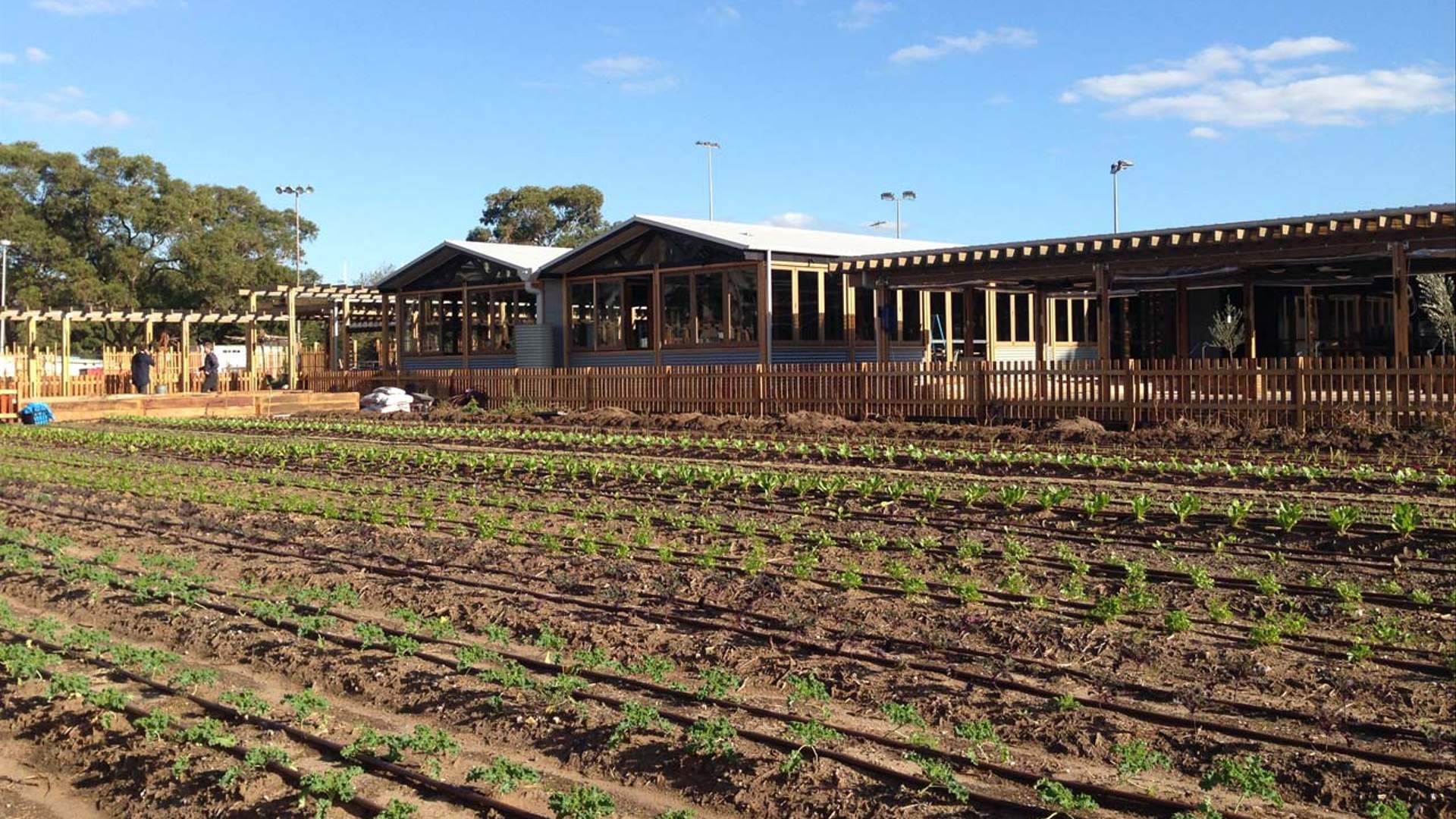 The Bush Tucker Garden, Sydney