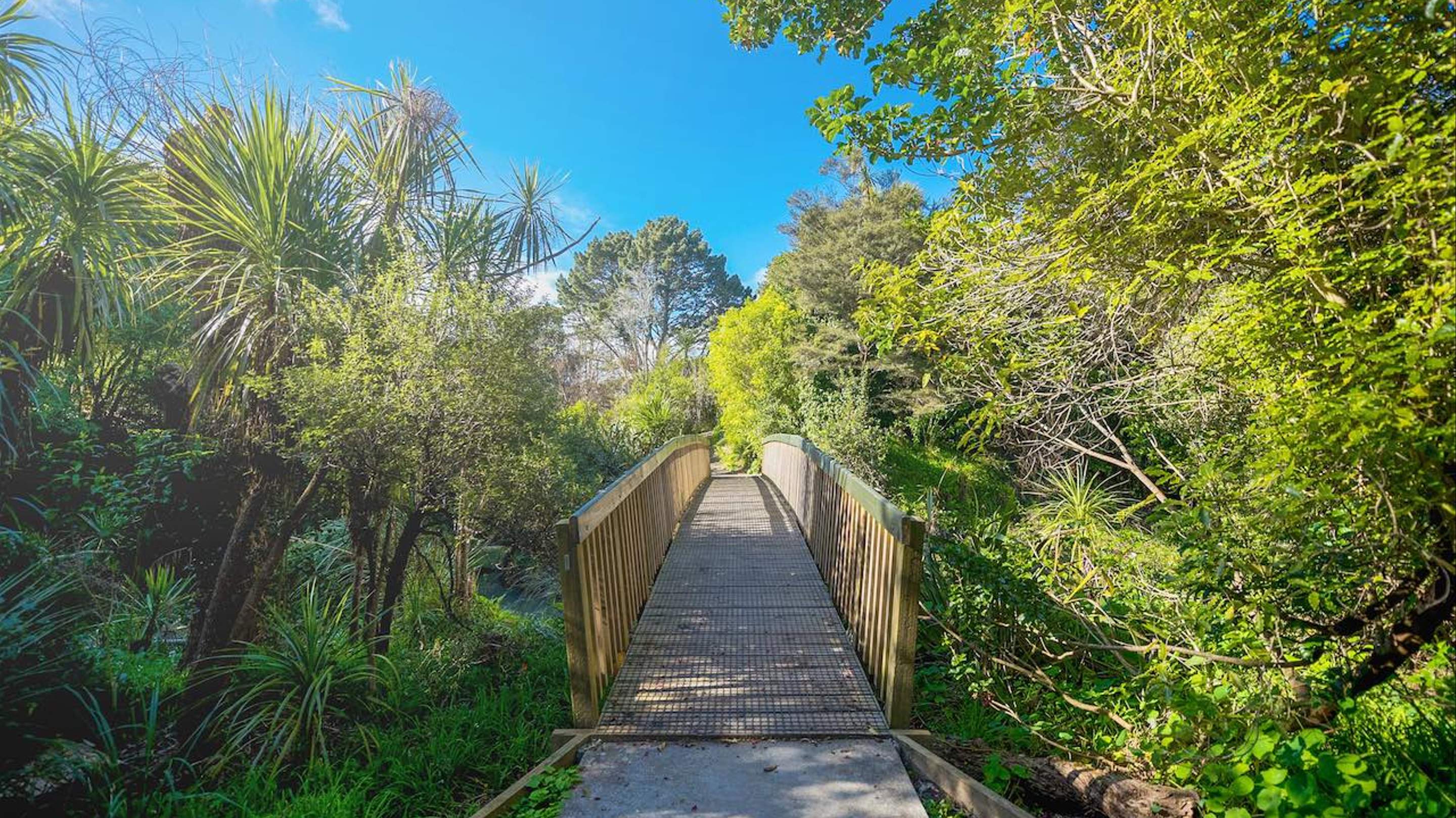 The Ten Best Inner City Running Trails in Auckland - Concrete Playground