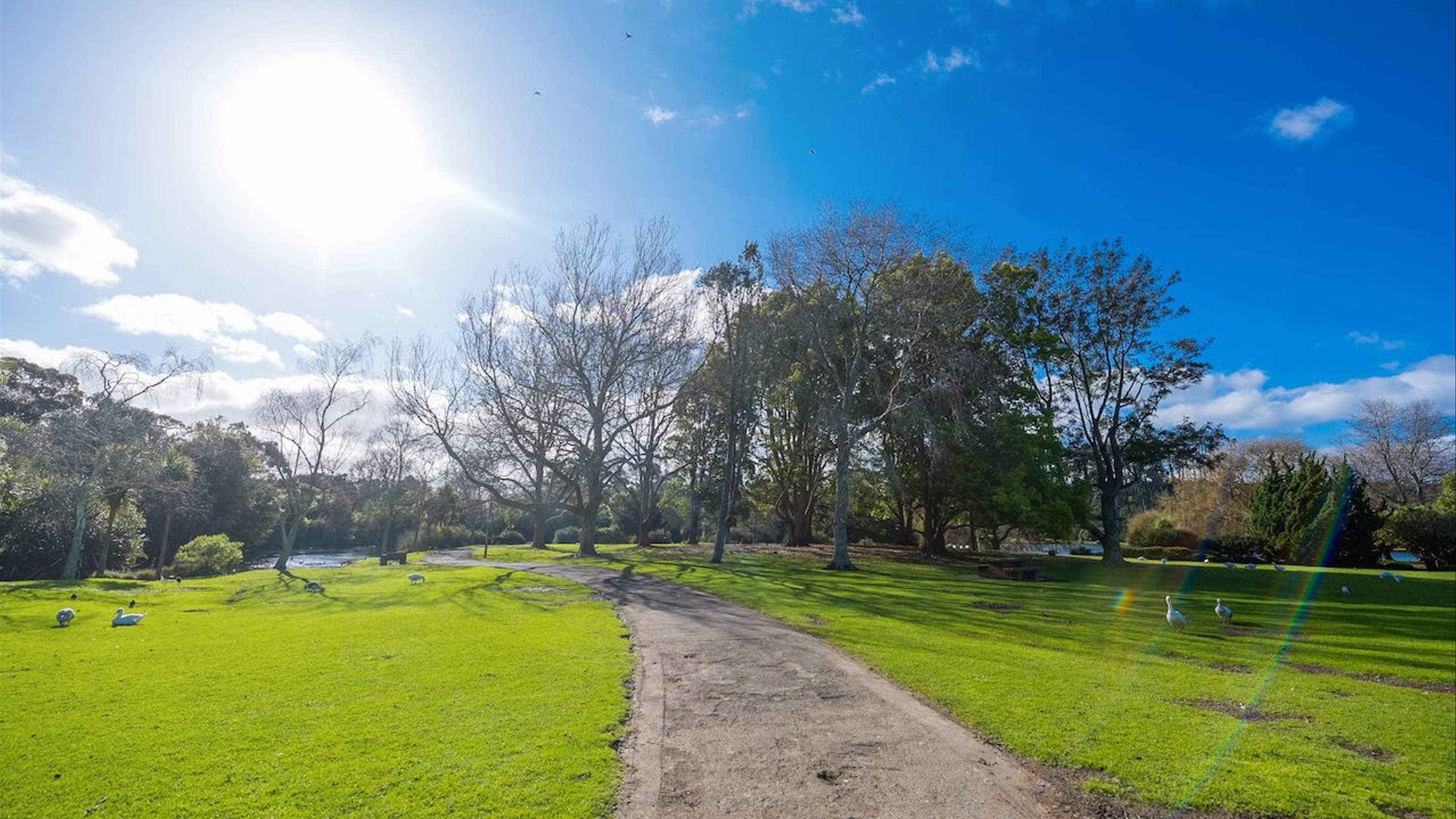 The Ten Best Inner City Running Trails in Auckland - Concrete Playground