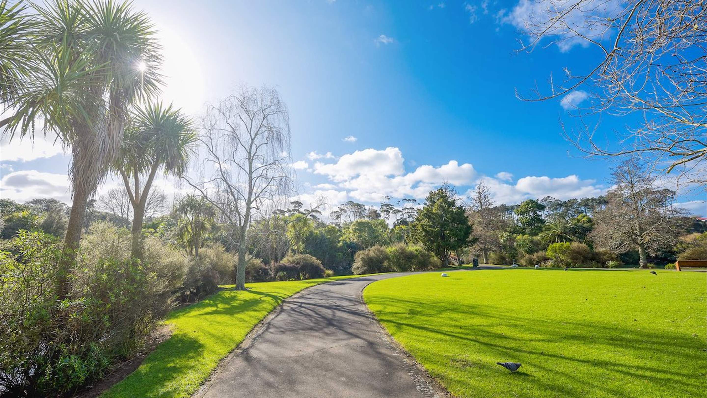 The Ten Best Inner City Running Trails in Auckland - Concrete Playground