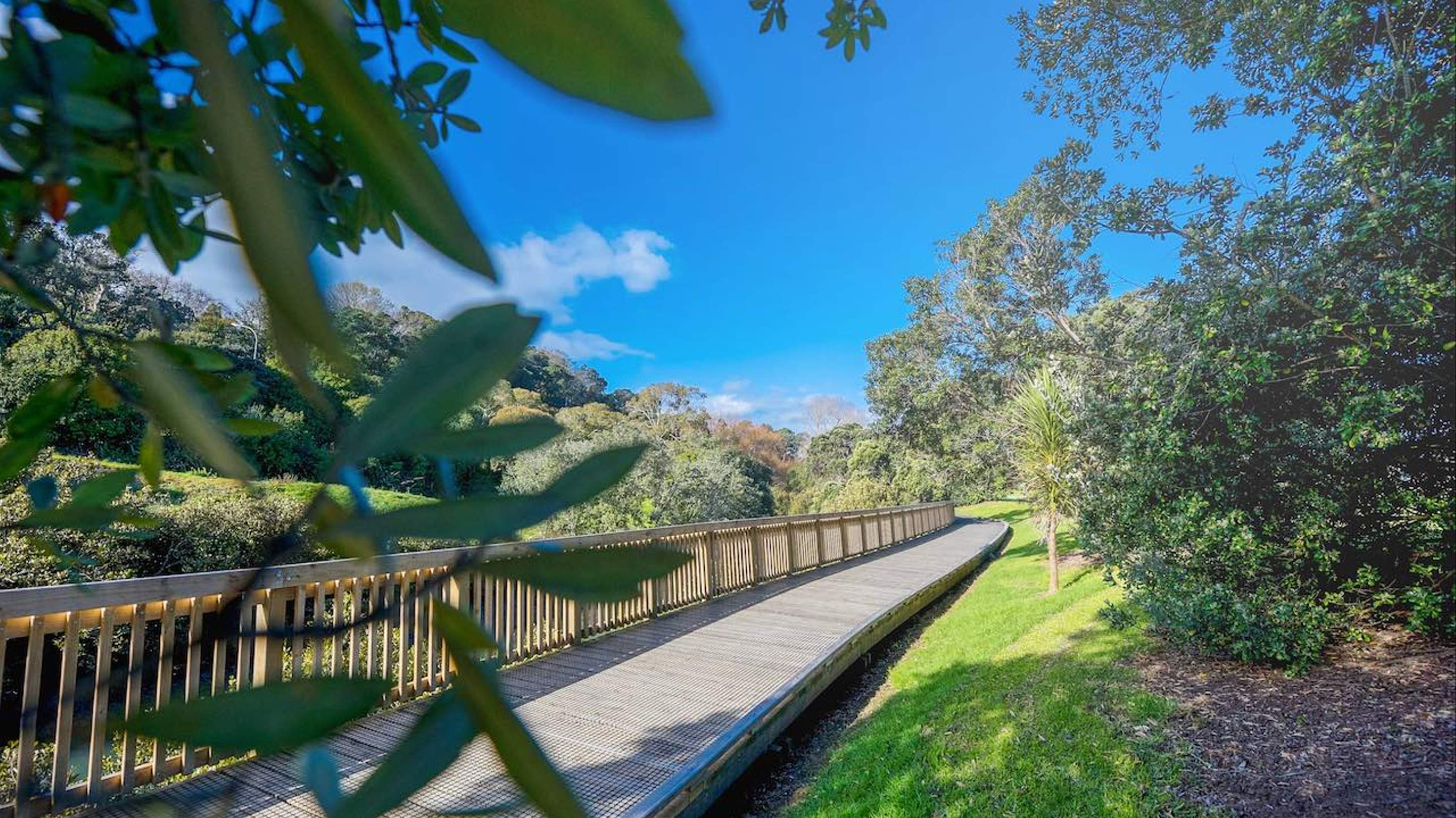 The Ten Best Inner City Running Trails in Auckland - Concrete Playground